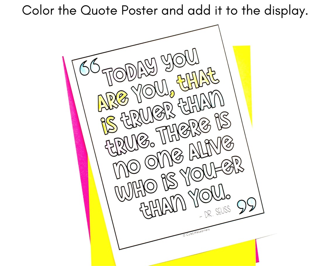 Dr. Seuss Biography Pack | Printable Reading Comprehension, Poster and ...