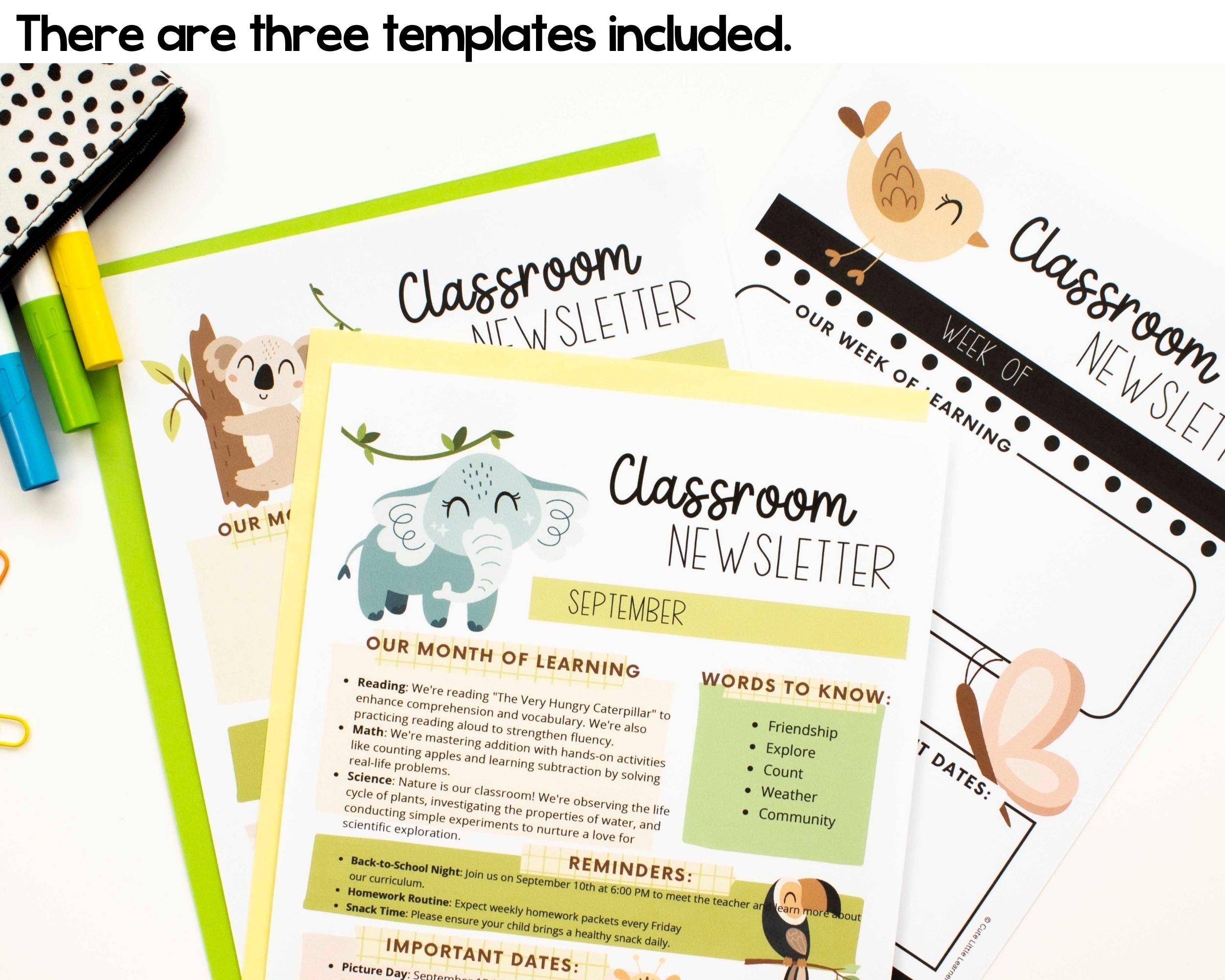 Jungle Safari Classroom Newsletter Templates | Editable Weekly and ...