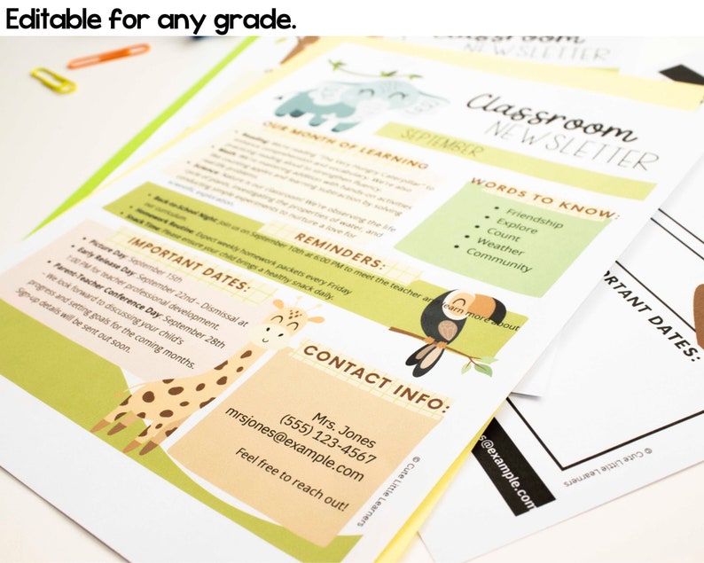 Jungle Safari Classroom Newsletter Templates | Editable Weekly and ...