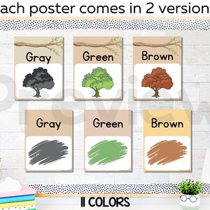 Woodland Friends Themed Color Posters English & Spanish for Classroom ...