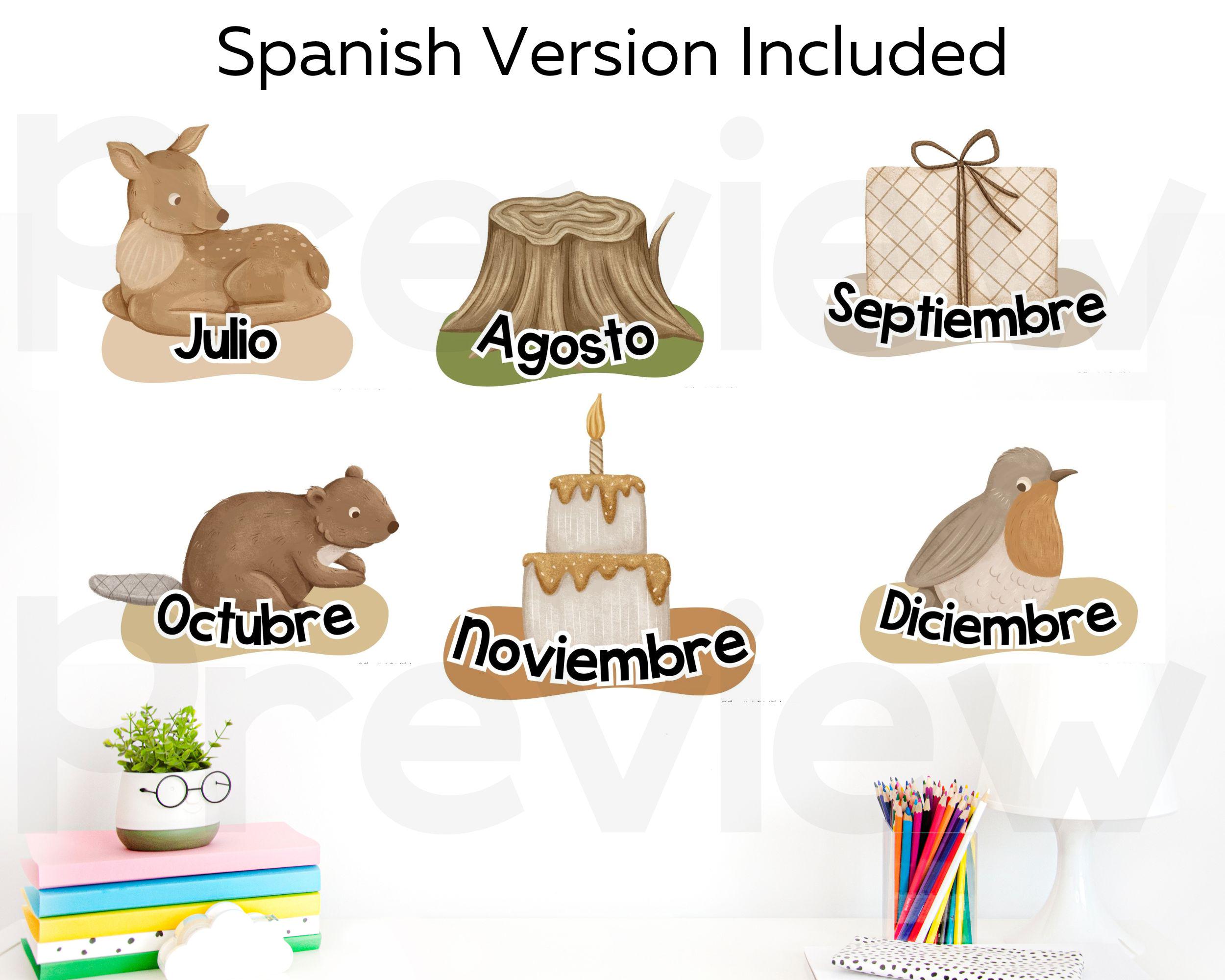 Woodland Birthday Display, Editable Birthday Bulletin Board & Classroom ...