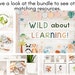 Jungle Safari Daily Classroom Slides With Timers, Centers, Behavior ...