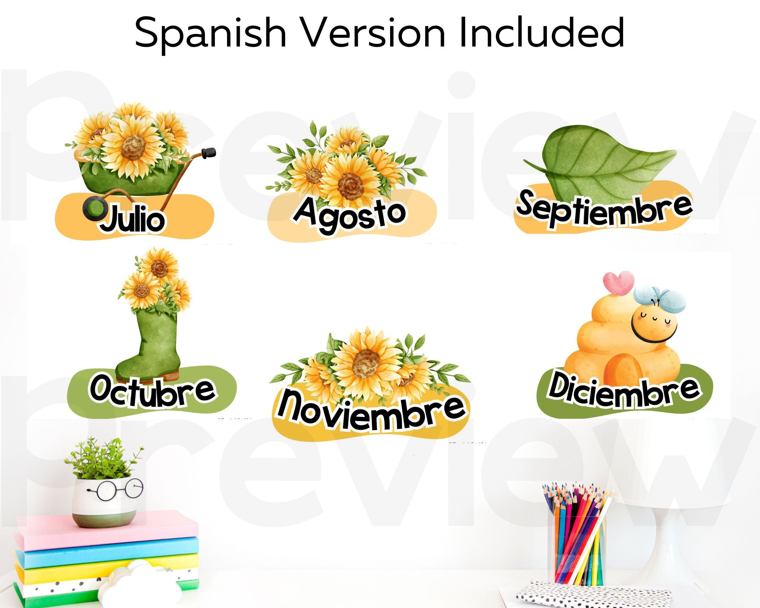 Sunflower Birthday Display, Editable Birthday Bulletin Board ...