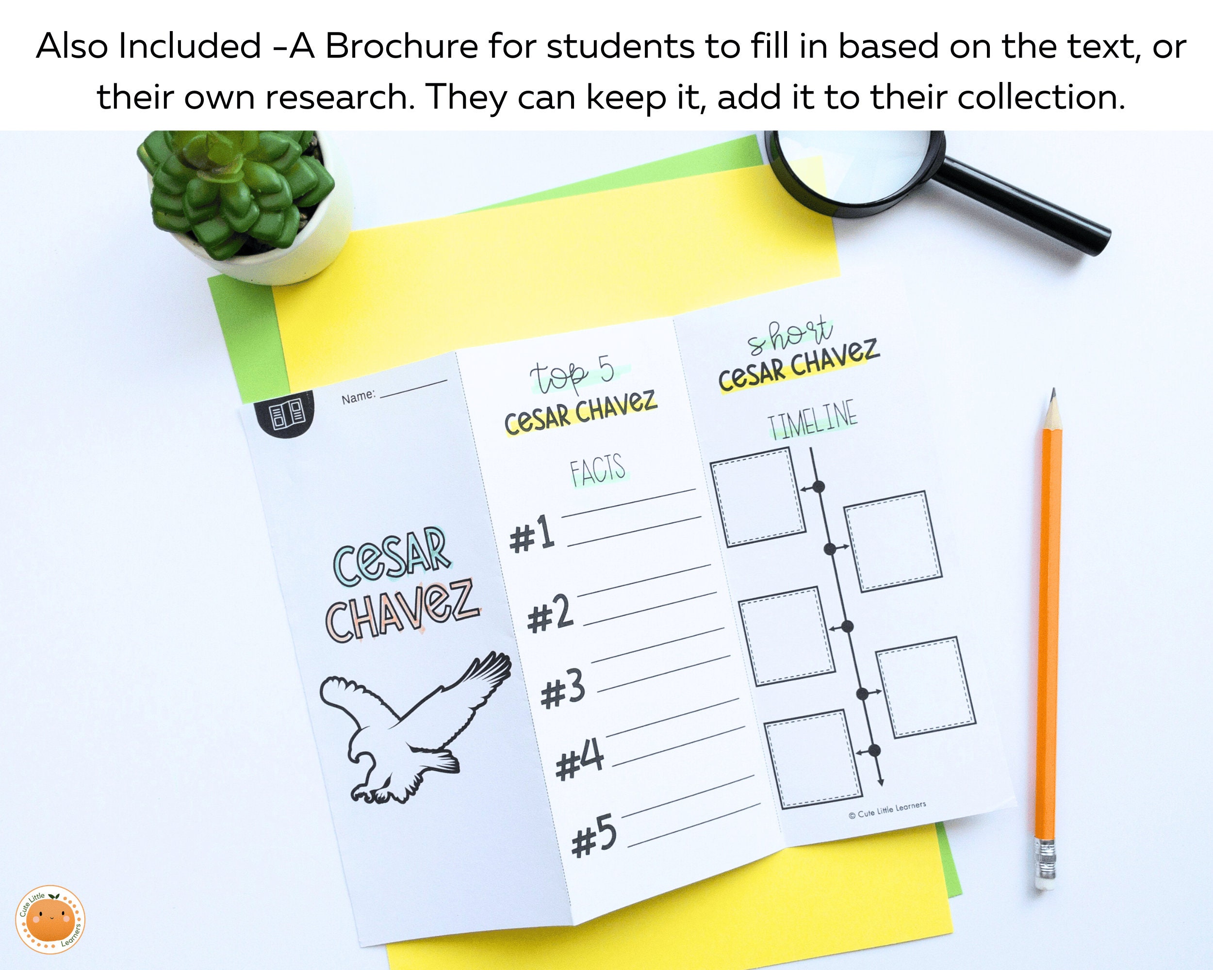 Cesar Chavez Printable Biography Pack Reading - Etsy Australia