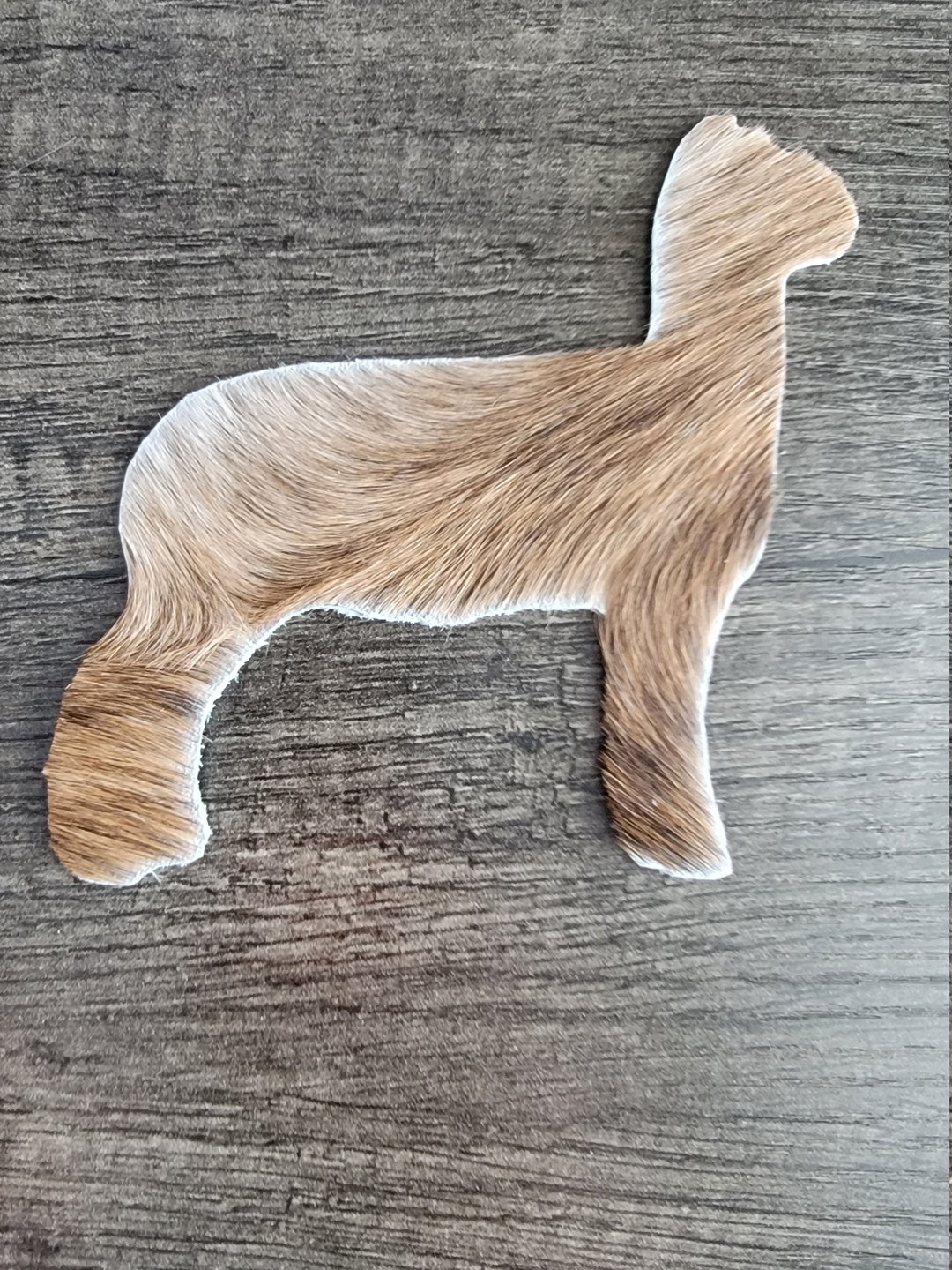 Cowhide Show Lambs (lamb) (sheep) Key Chains Key Fob or Rear View ...