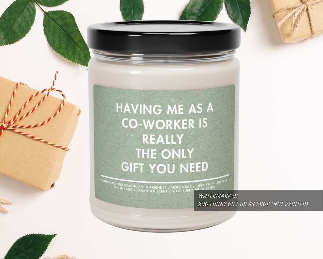 Funny Co-worker Gift, Birthday Gift for Coworker, Gift for Coworker ...