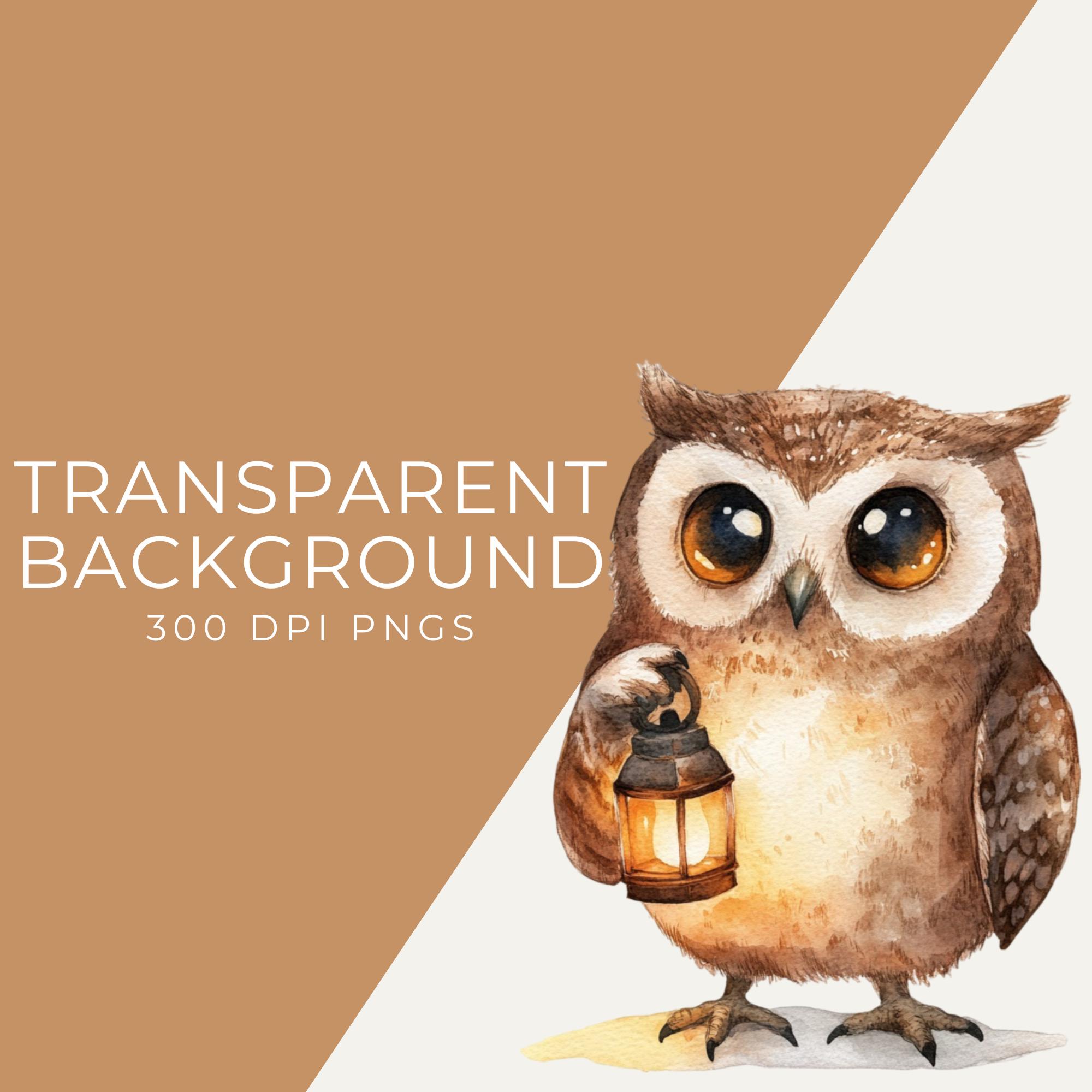 Watercolor Owl Clipart Pack, Cute Owl Illustrations, Woodland Bird Art ...