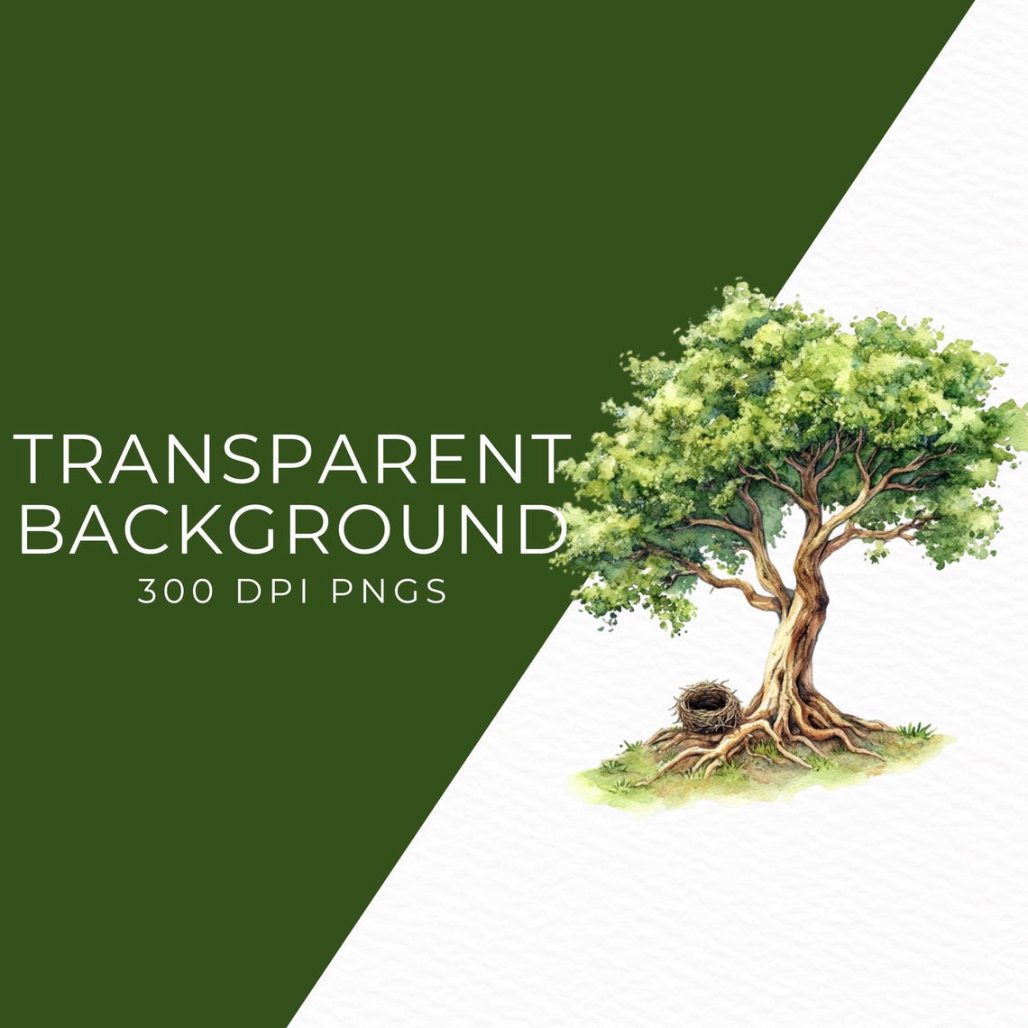 Watercolor Tree With Roots Clipart, Rustic Tree Art, Family Tree ...