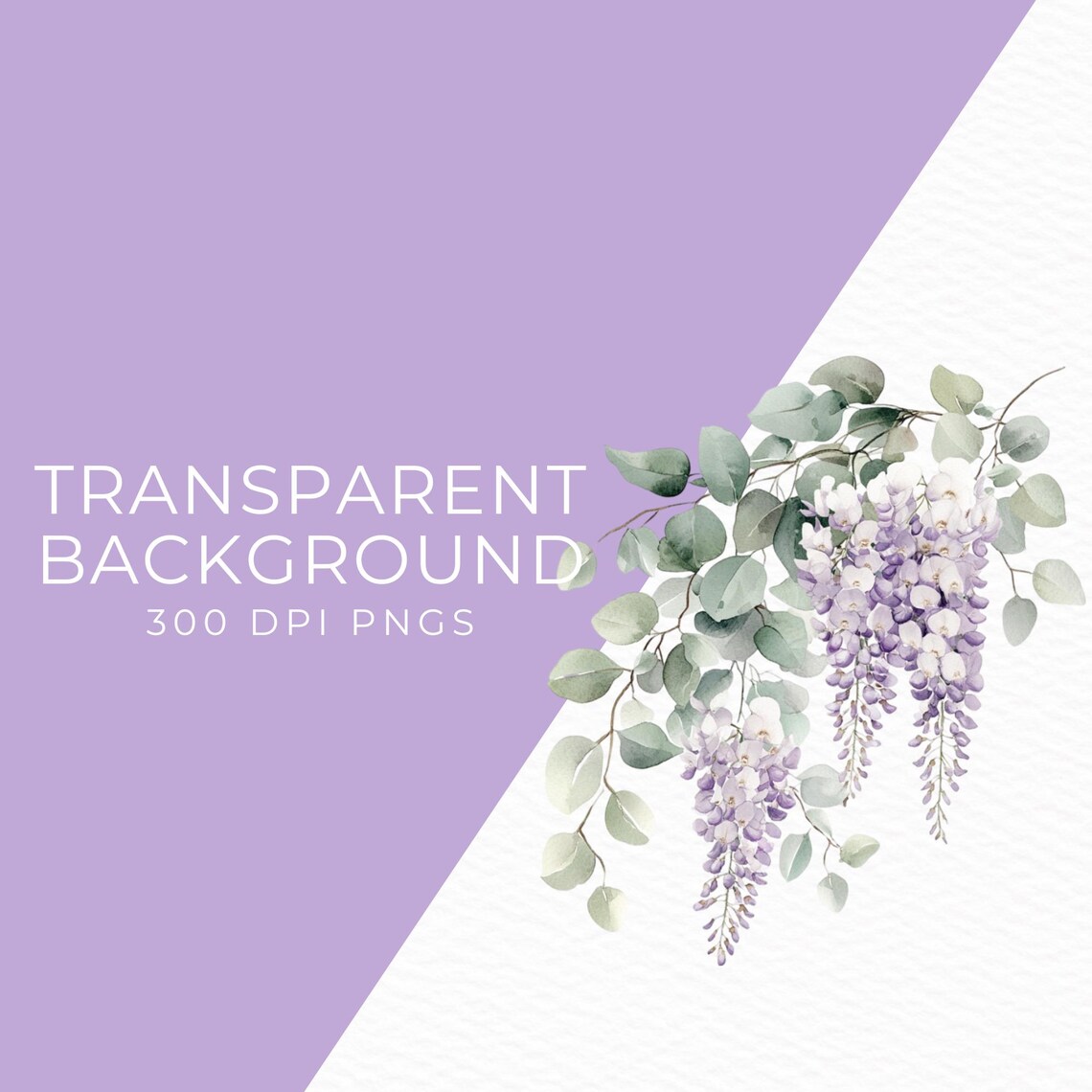 Wisteria Clipart, Watercolor Floral Art, Purple Flowers PNG, Botanical ...