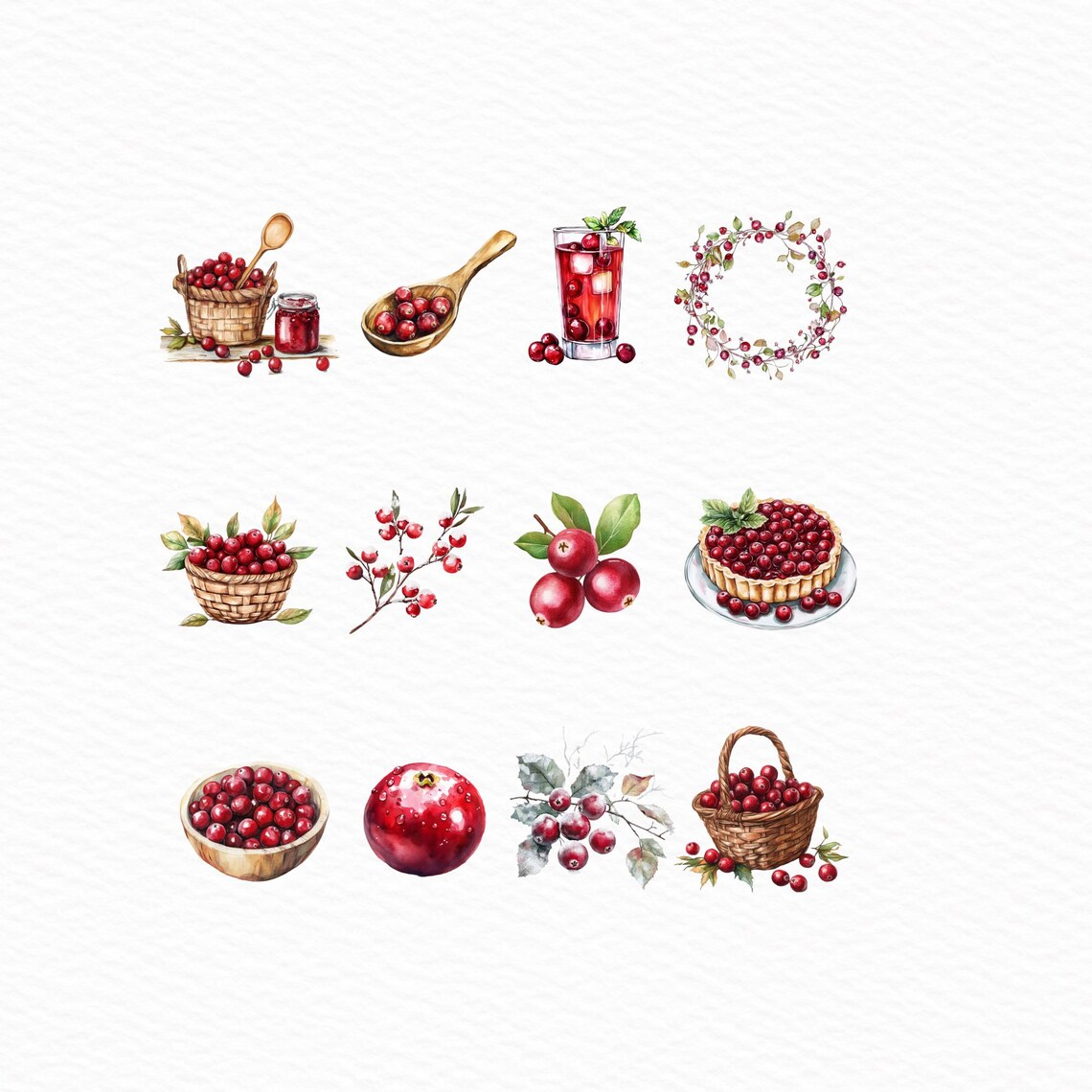 Cranberry Clipart, Watercolor PNG, Cranberries Illustration, Holiday ...