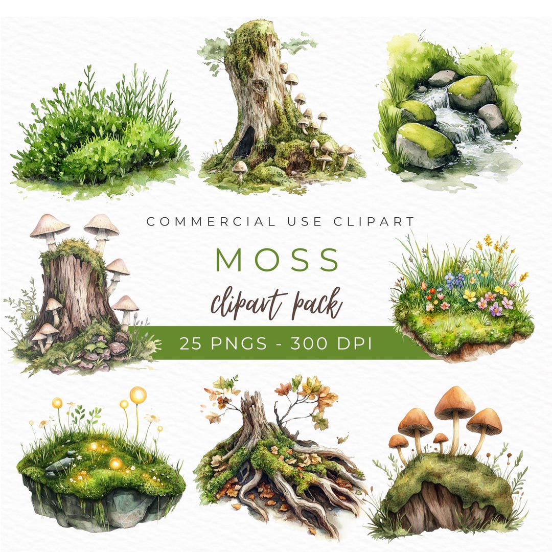 Moss Clipart, Watercolor Png,greenery Illustration, Terrarium Art ...