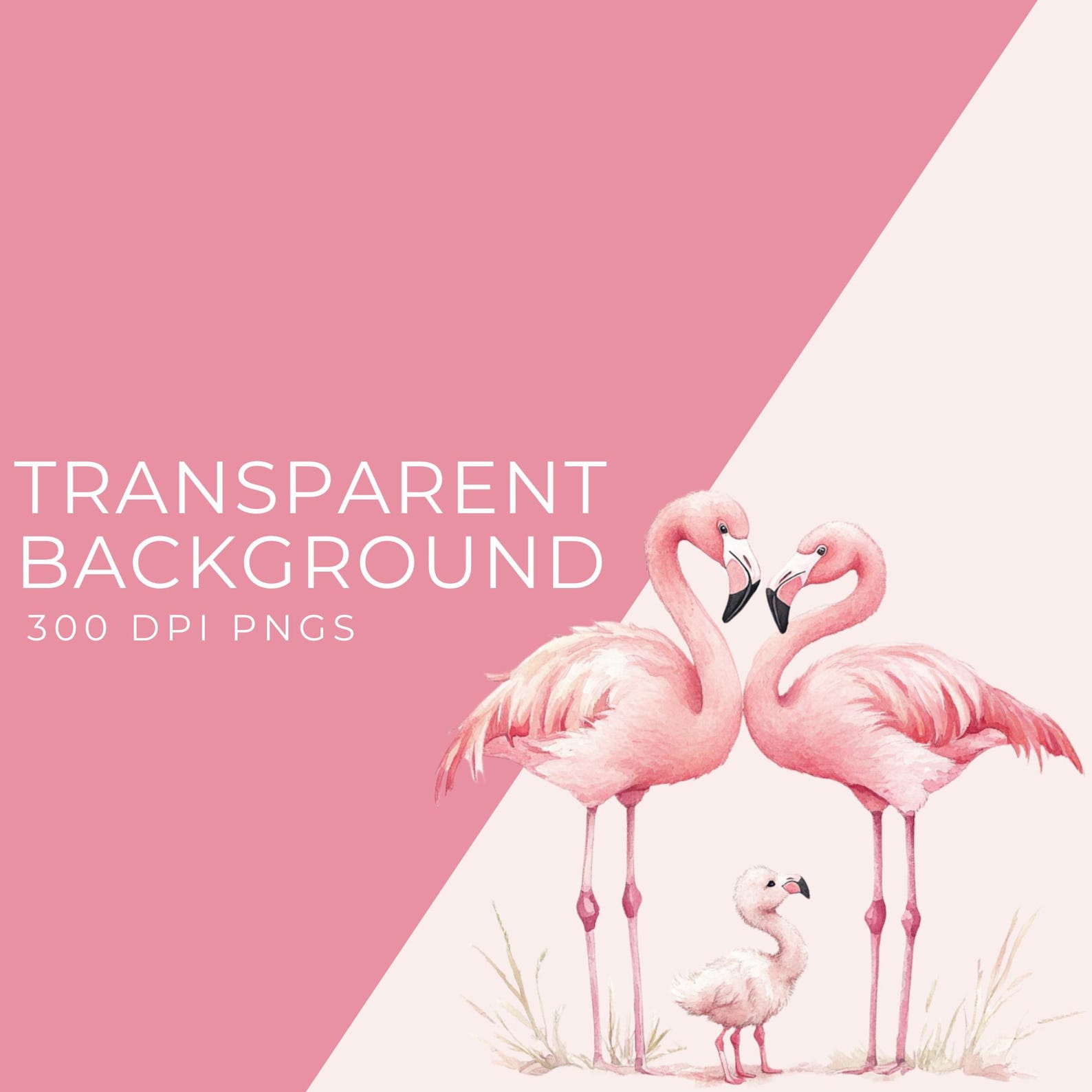 Flamingo Clipart Set, Cute Tropical Flamingo Illustrations, Watercolor ...