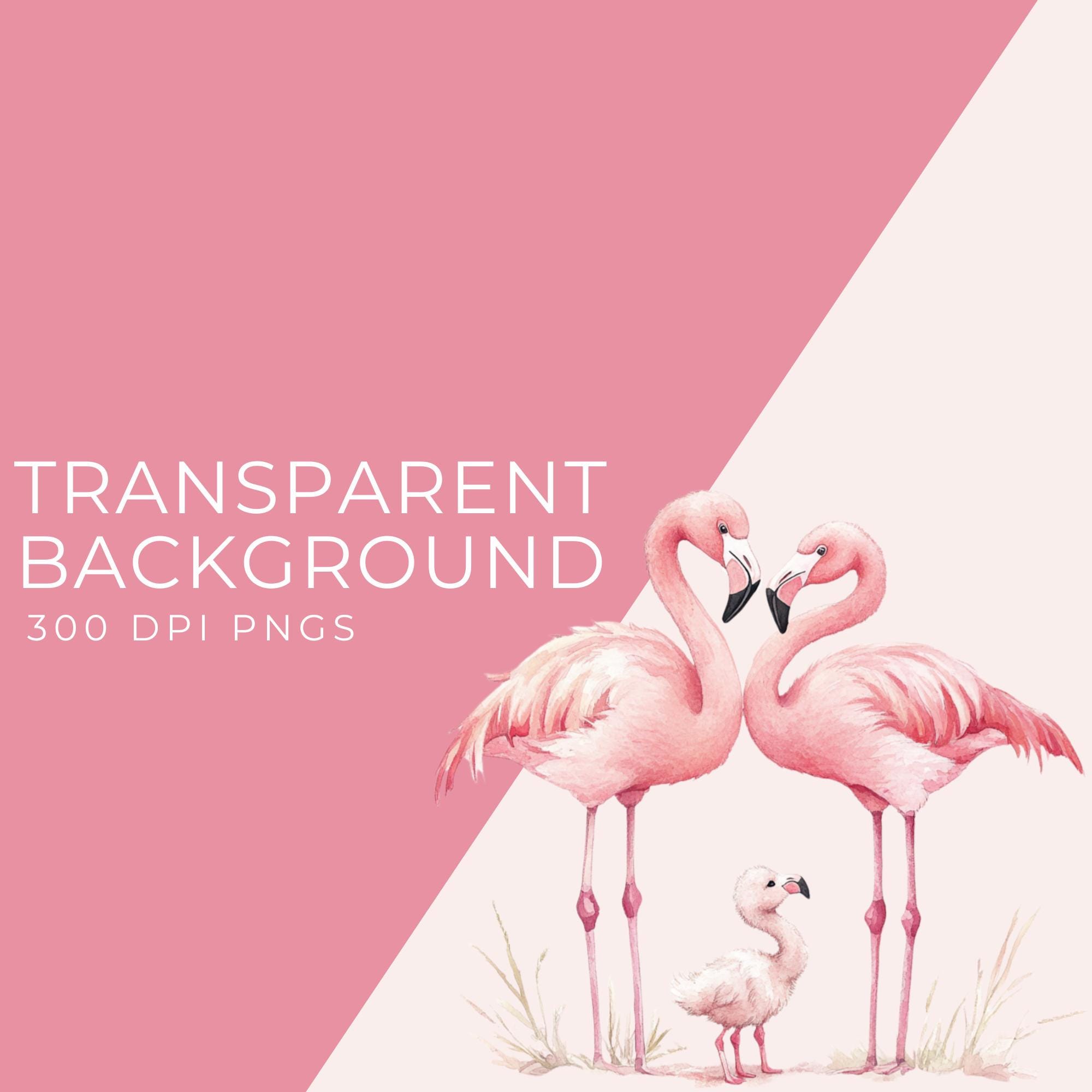 Flamingo Clipart Set, Cute Tropical Flamingo Illustrations, Watercolor ...