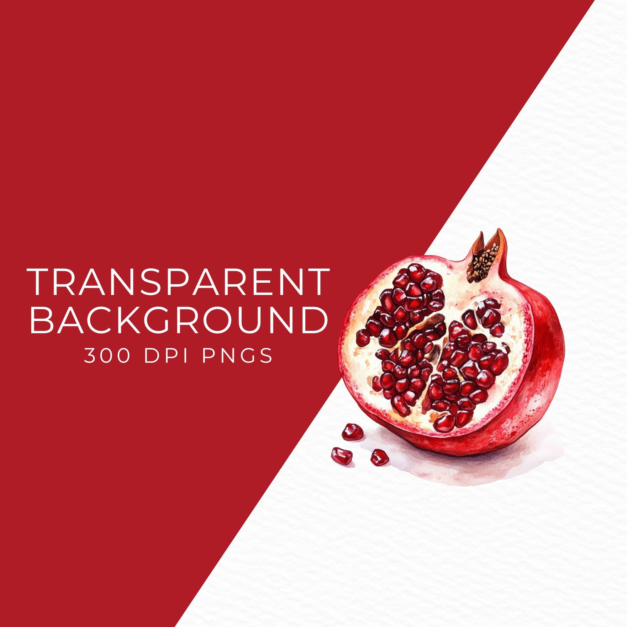 Pomegranate Clipart, Watercolor PNG, Pomegranate Illustration, Fruit ...