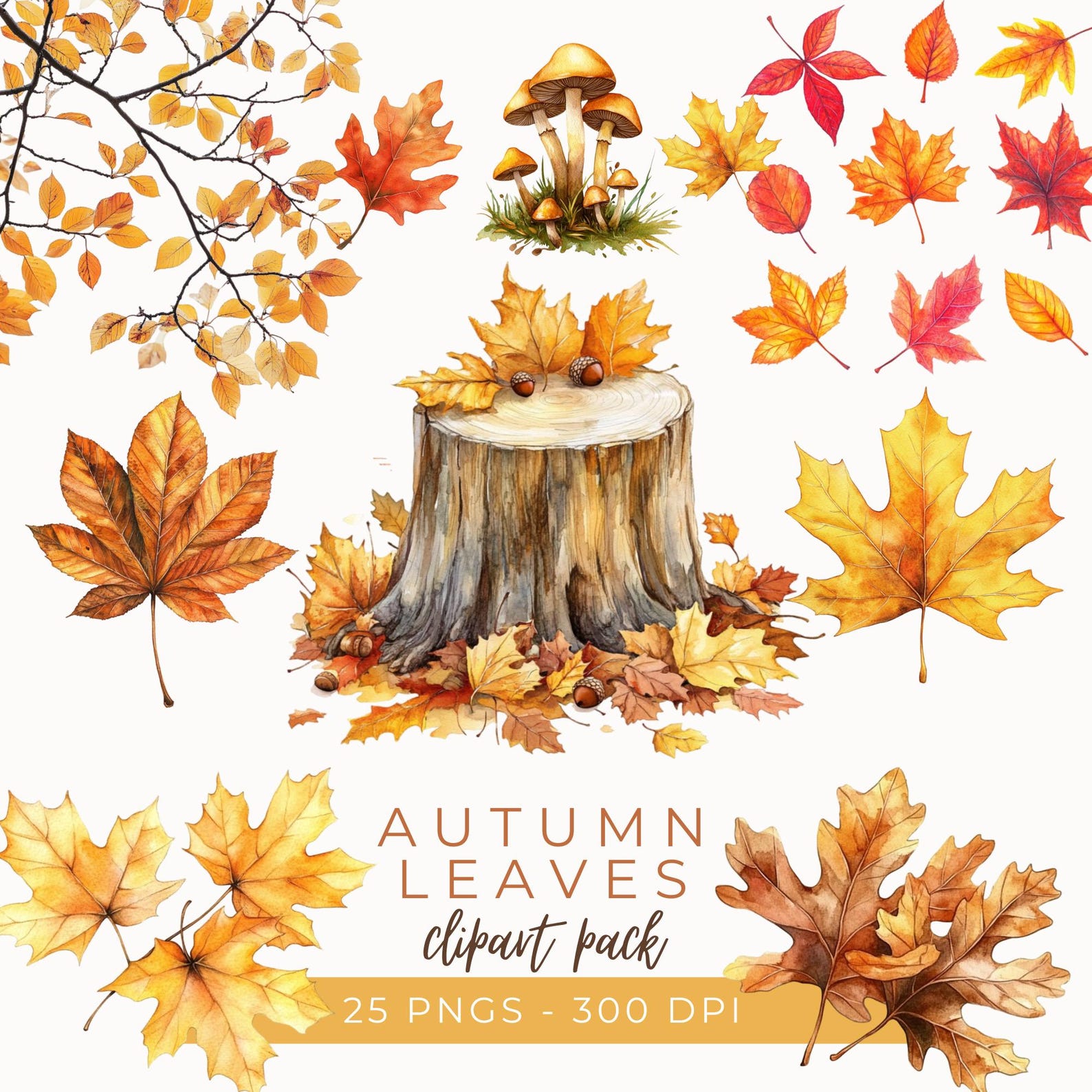 Autumn Leaves Clipart Beautiful Digital PNG Download for Fall Crafts ...