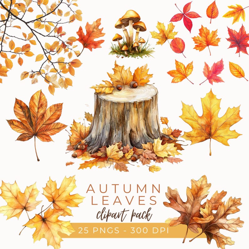 Autumn Leaves Clipart Beautiful Digital PNG Download for Fall Crafts ...