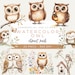Watercolor Owl Clipart Pack, Cute Owl Illustrations, Woodland Bird Art ...