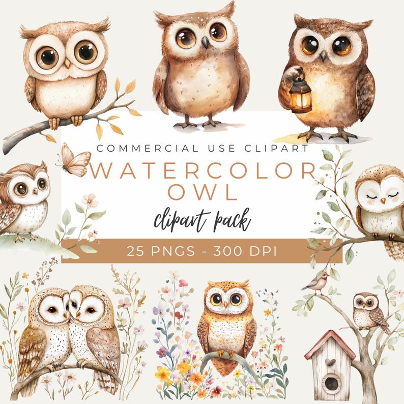 Watercolor Owl Clipart Pack, Cute Owl Illustrations, Woodland Bird Art ...