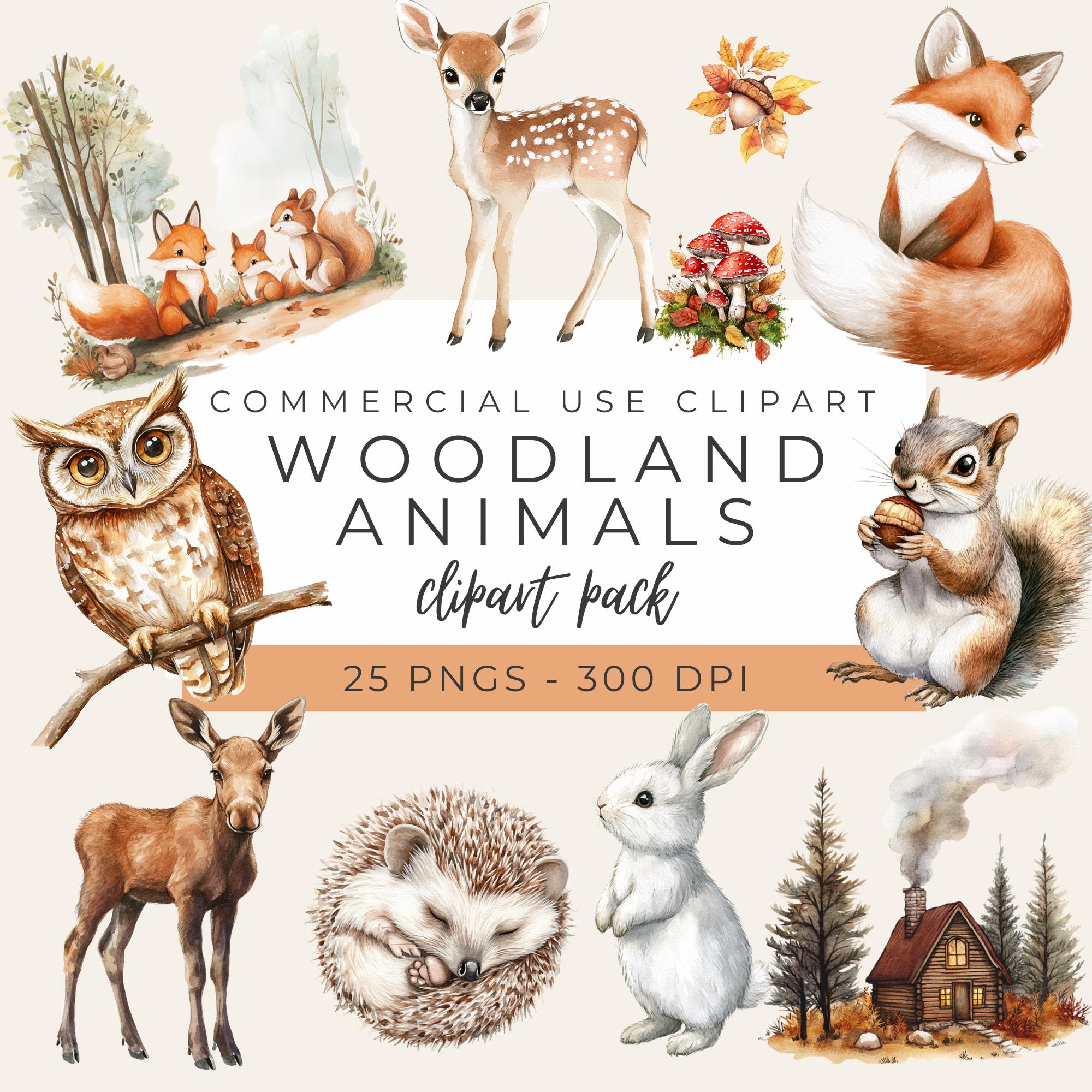 Watercolor Woodland Animals Clipart, Cute Forest Creatures PNG, Nursery ...