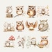 Watercolor Owl Clipart Pack, Cute Owl Illustrations, Woodland Bird Art ...