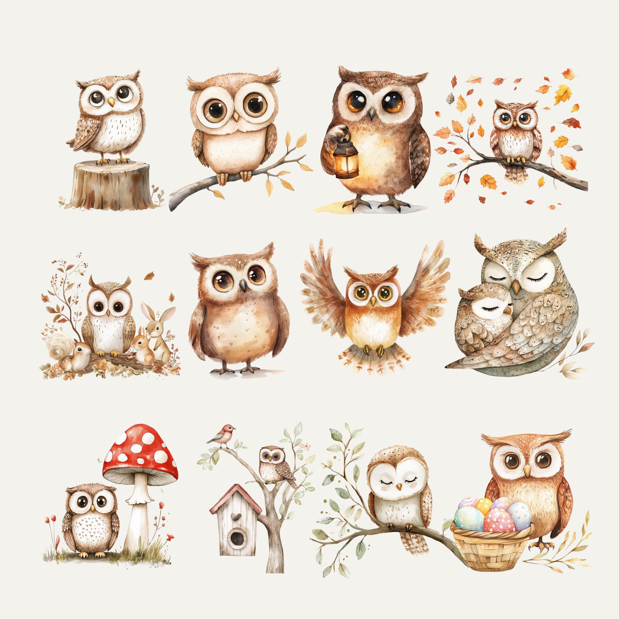 Watercolor Owl Clipart Pack, Cute Owl Illustrations, Woodland Bird Art ...