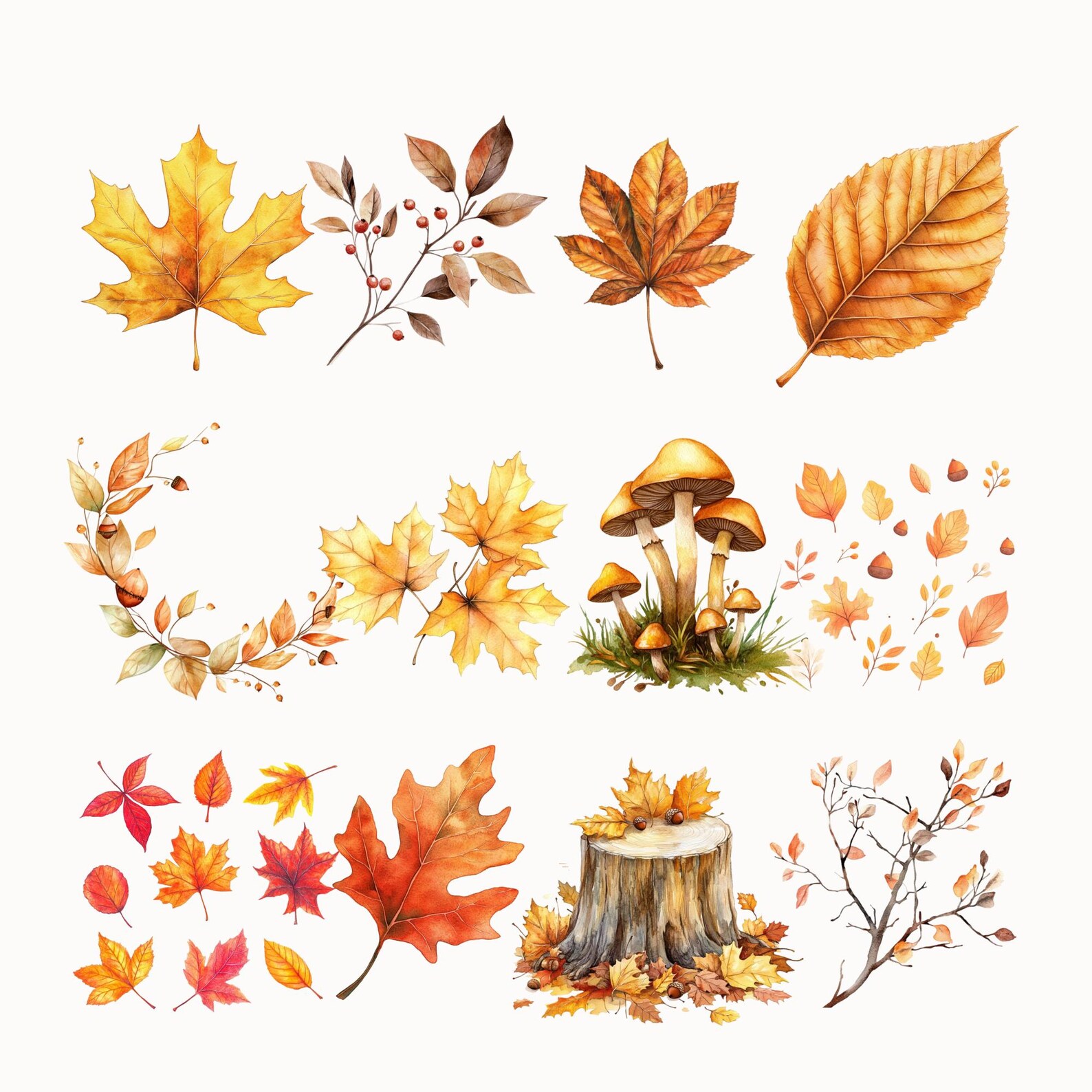 Autumn Leaves Clipart Beautiful Digital PNG Download for Fall Crafts ...