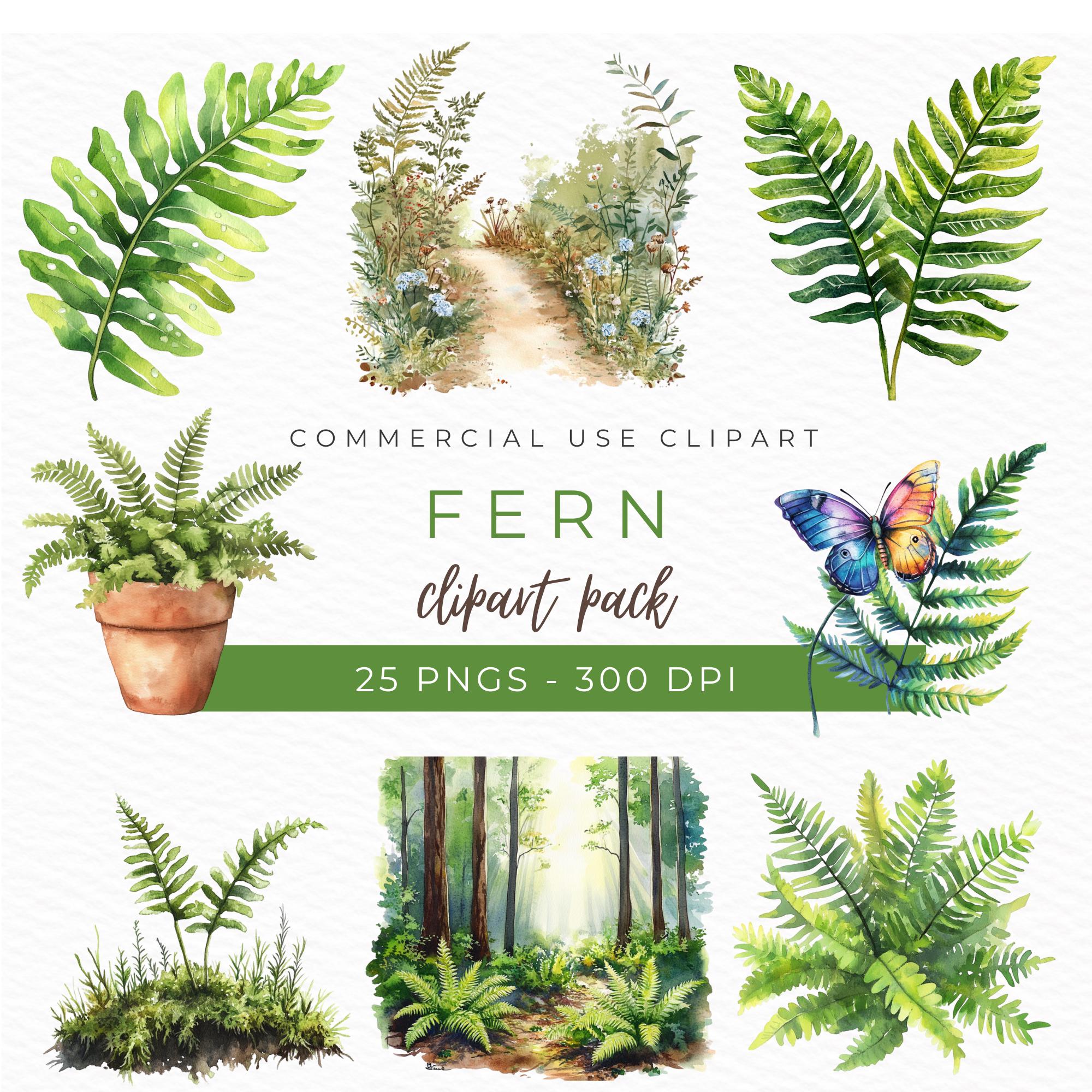 Fern Clipart, Watercolor PNG, Botanical Illustration, Fern Wedding ...