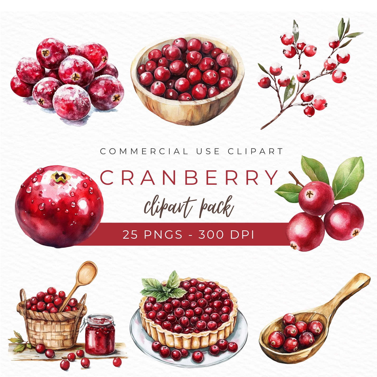 Cranberry Clipart, Watercolor PNG, Cranberries Illustration, Holiday ...