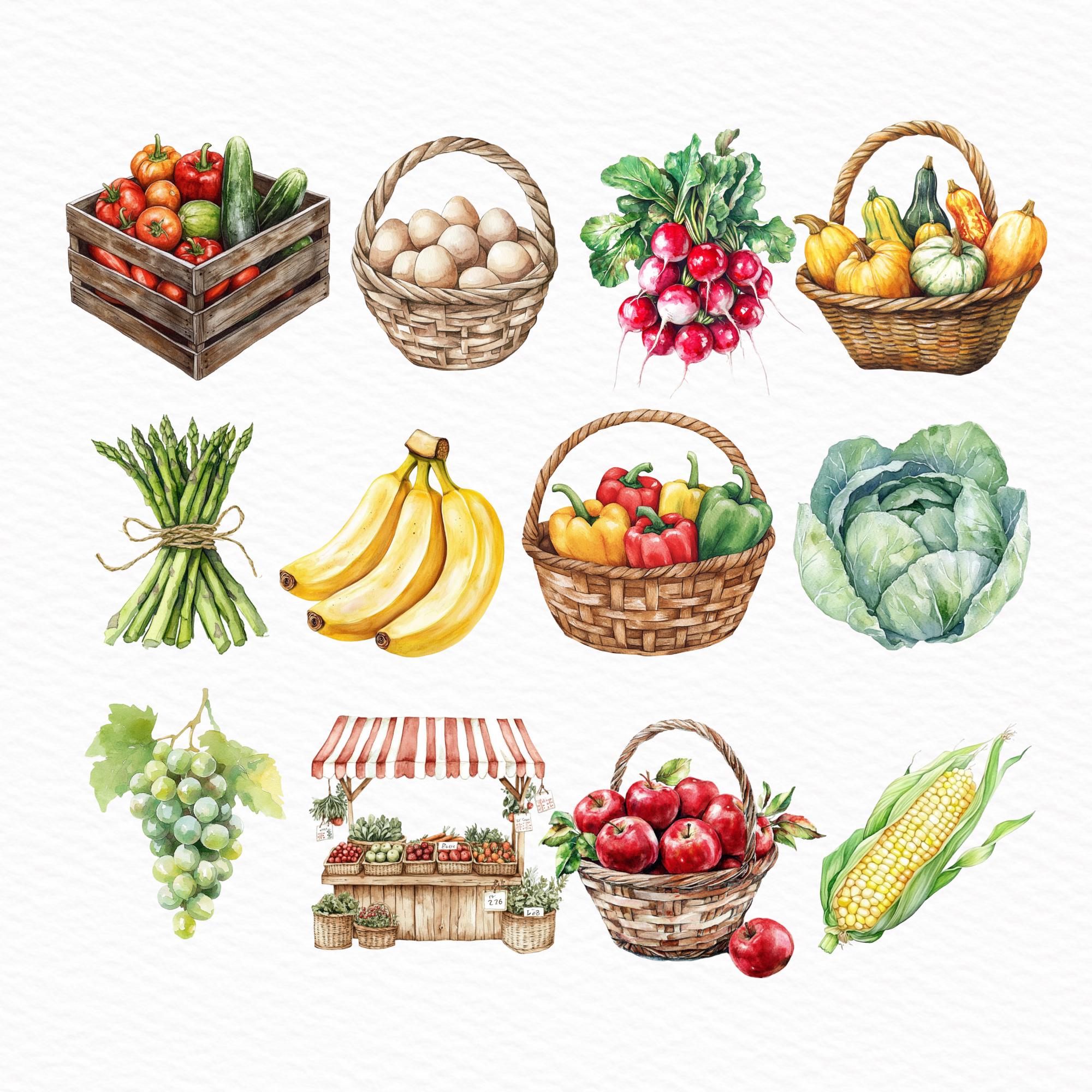 Watercolor Farmers Market Clipart, Fresh Produce Art, Vegetable PNG ...