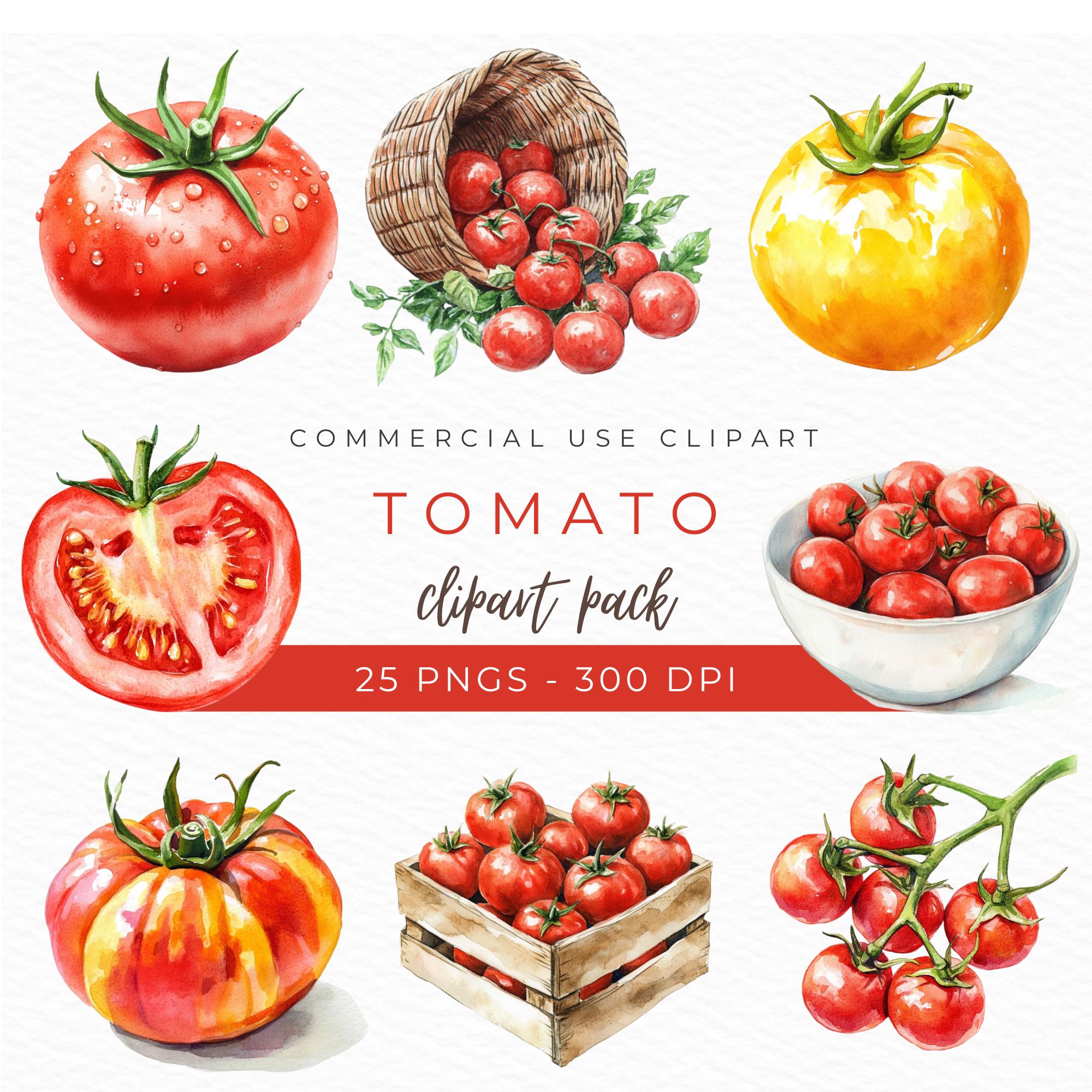 Tomato Clipart, Watercolor PNG, Cute Tomato Illustration, Garden Plant ...