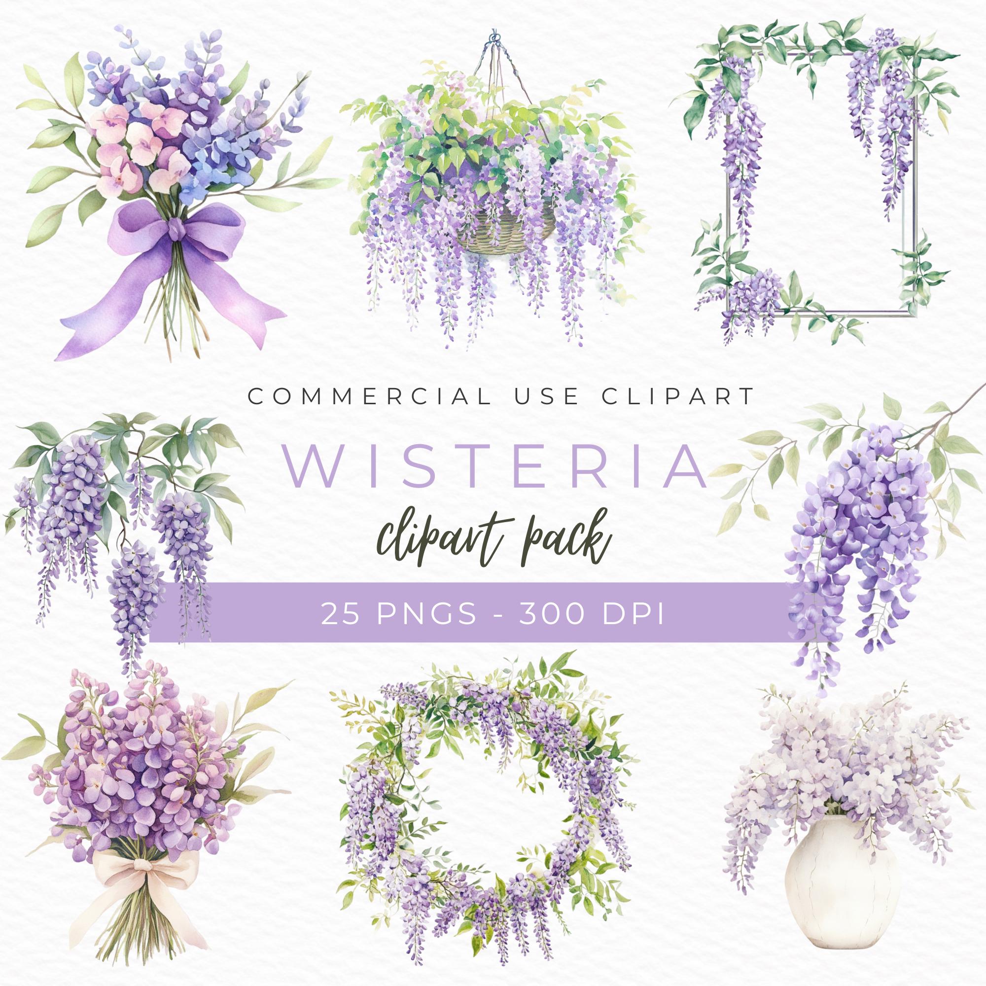Wisteria Clipart, Watercolor Floral Art, Purple Flowers PNG, Botanical ...