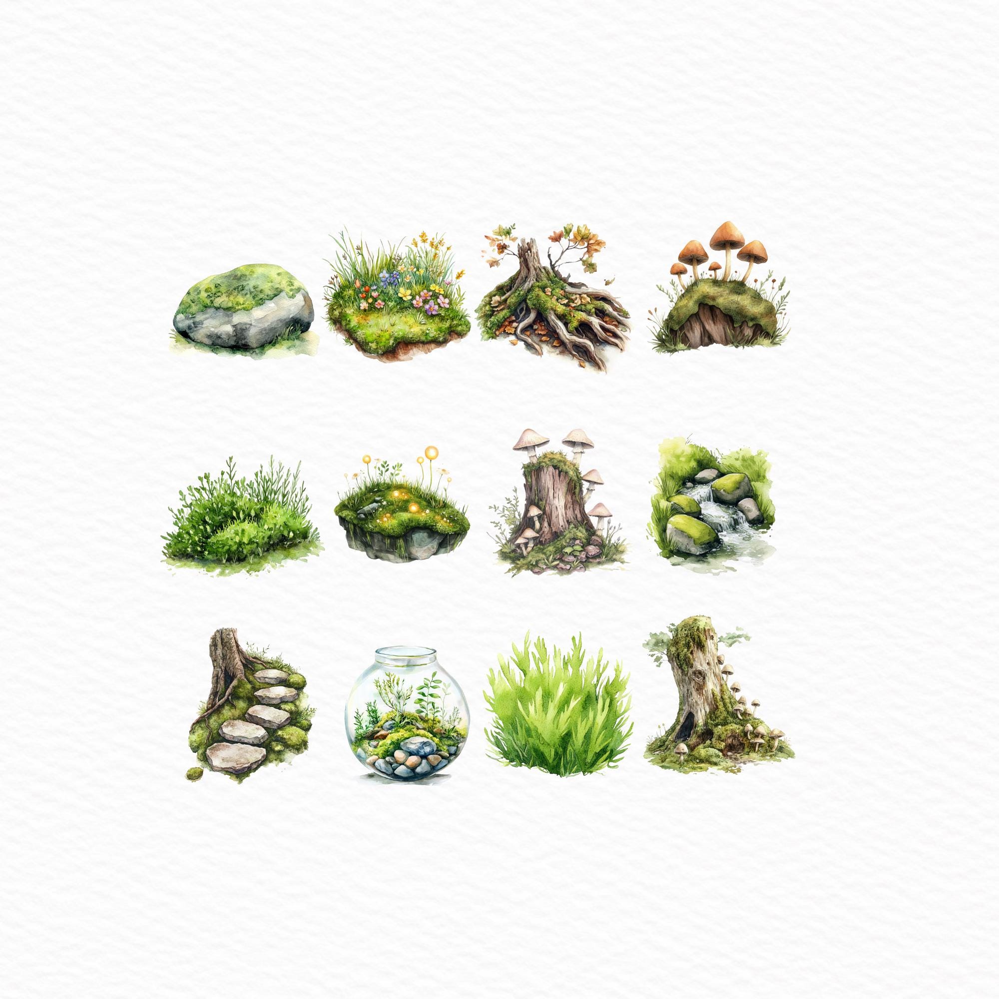 Moss Clipart, Watercolor Png,greenery Illustration, Terrarium Art ...