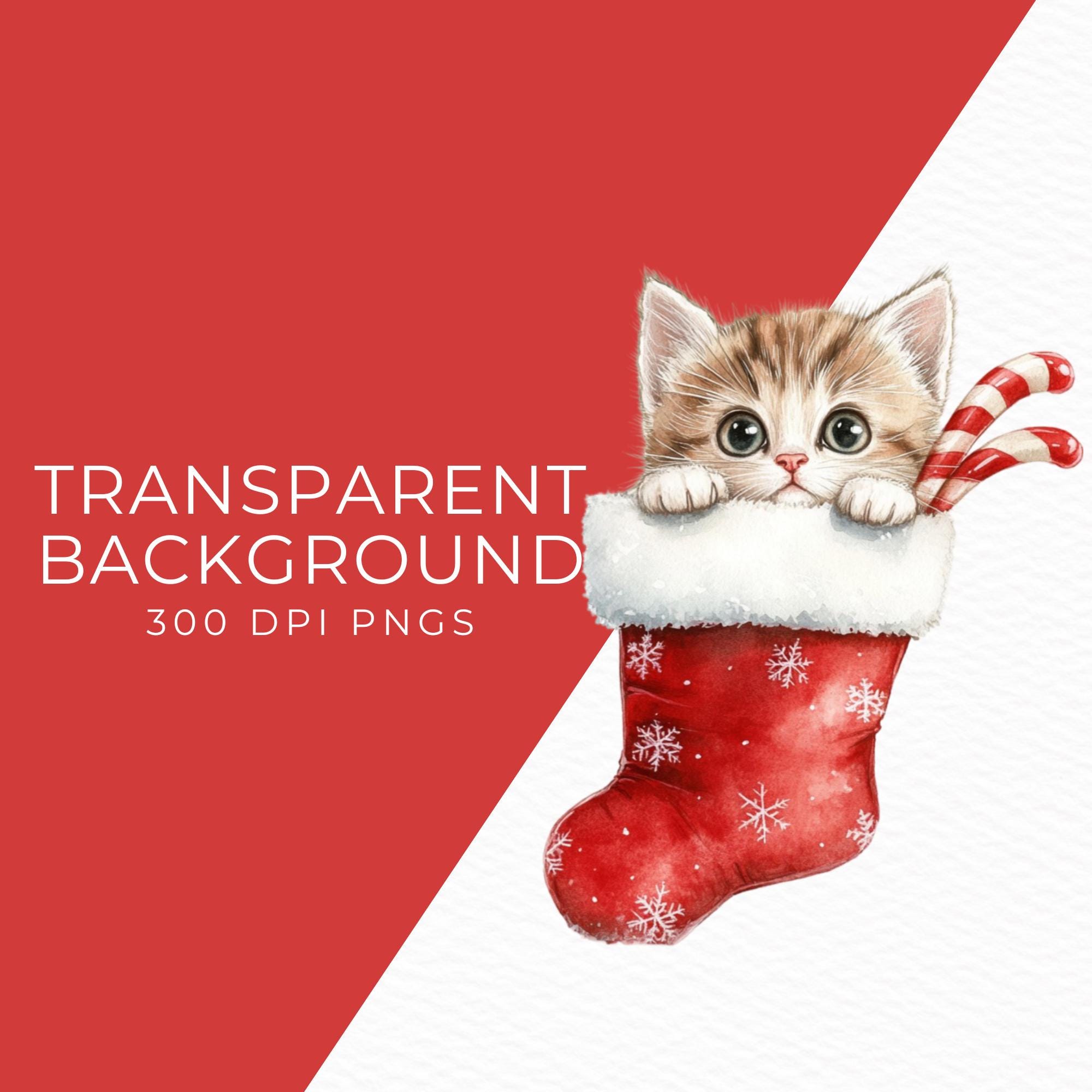 Winter Cat Clipart, Christmas Kitten PNG, Holiday Cat Art, Cozy Season ...