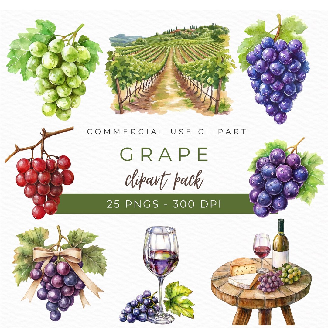 Watercolor Grape Clipart: Vineyard PNG Graphics (instant Download) - Etsy