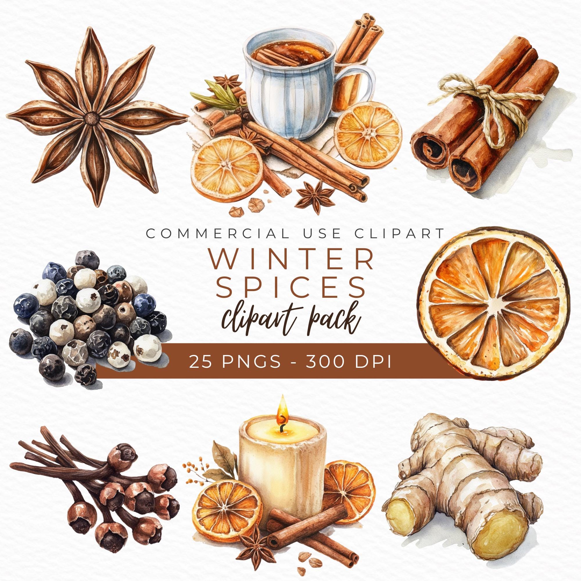 Winter Spice Clipart, Cinnamon Clipart, Mulled Wine PNG, Holiday Spice ...