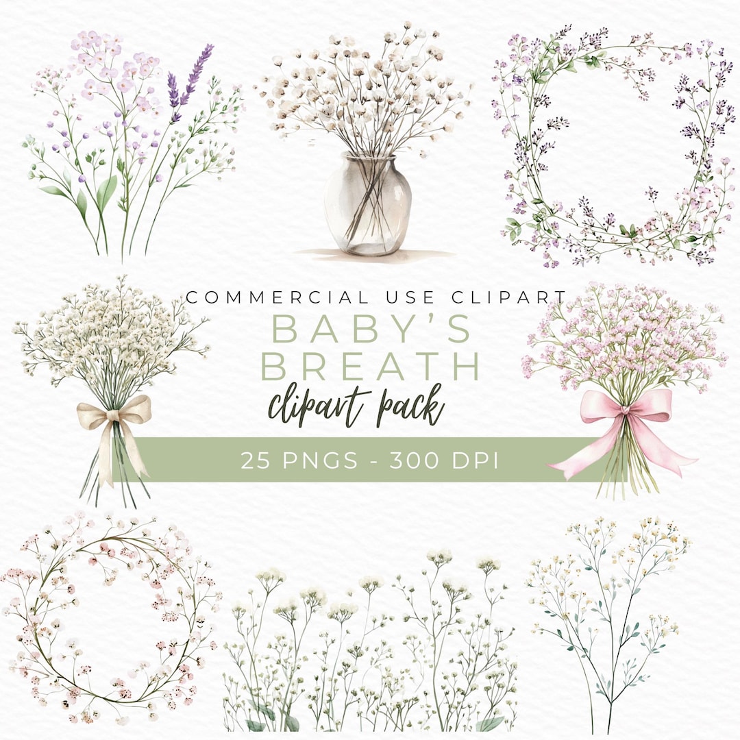 Baby’s Breath Flower Clipart, Gypsophila Bouquet PNG, Watercolor Floral ...