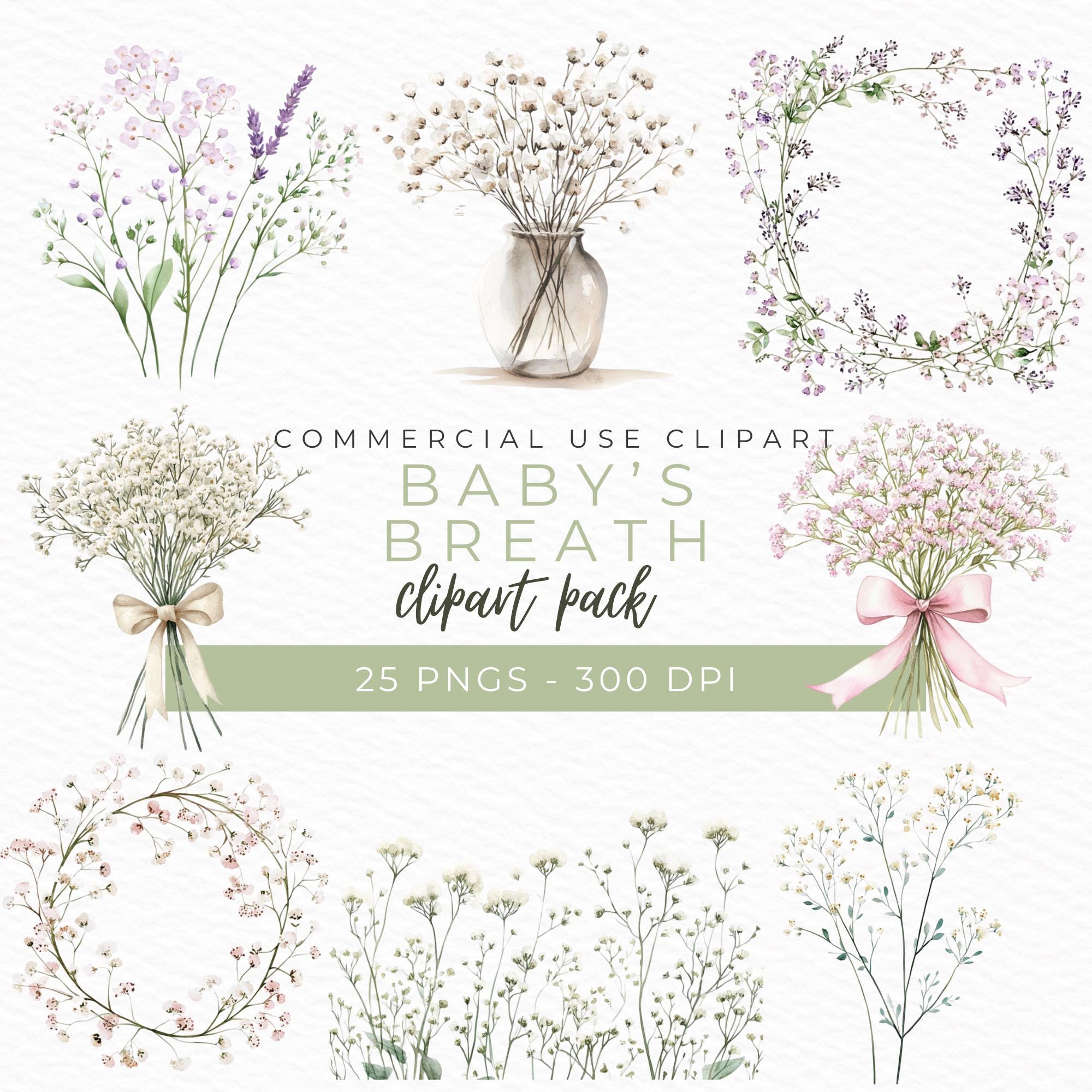 Baby’s Breath Flower Clipart, Gypsophila Bouquet PNG, Watercolor Floral ...