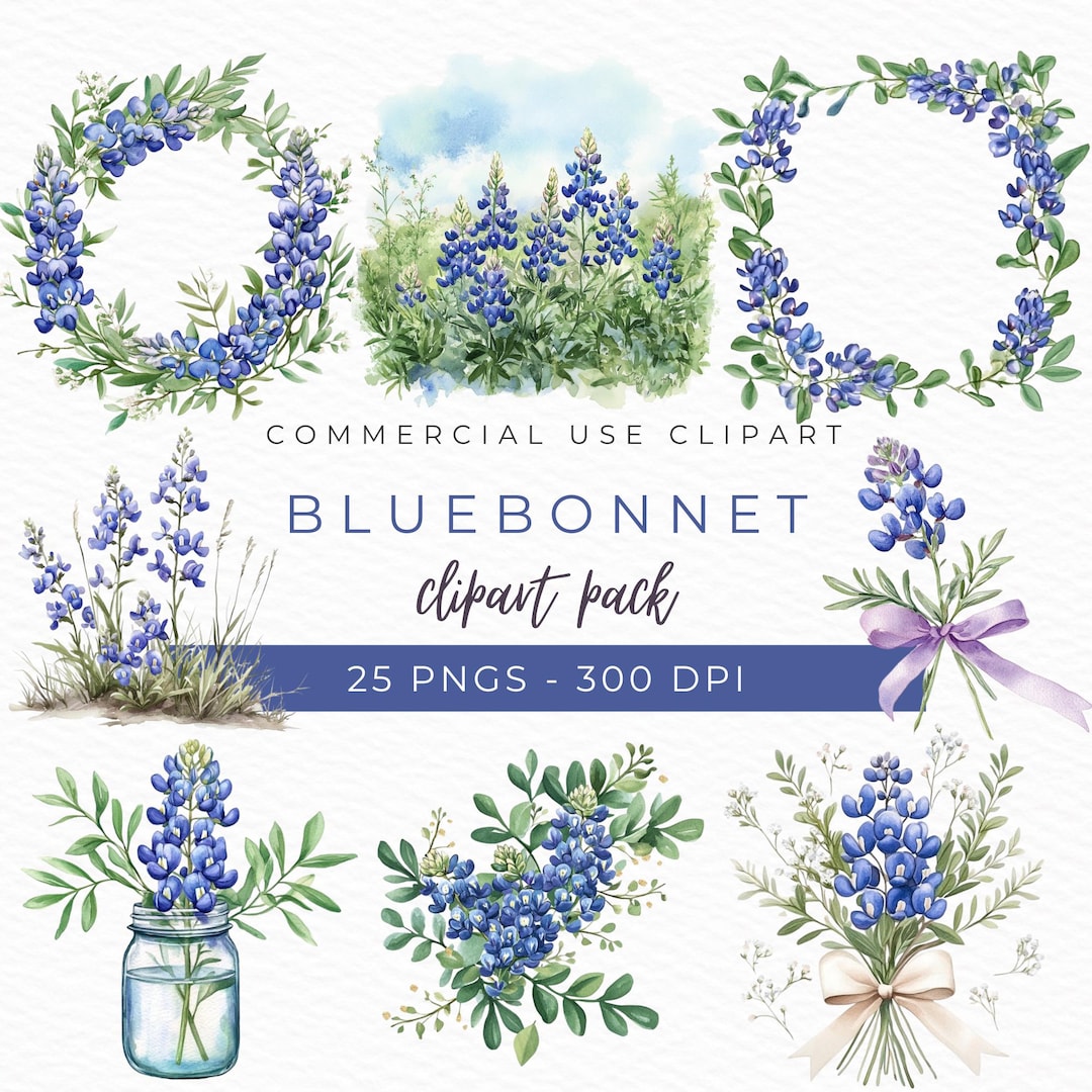 Bluebonnet Clipart, Texas Wildflower Art, Watercolor Floral PNG ...