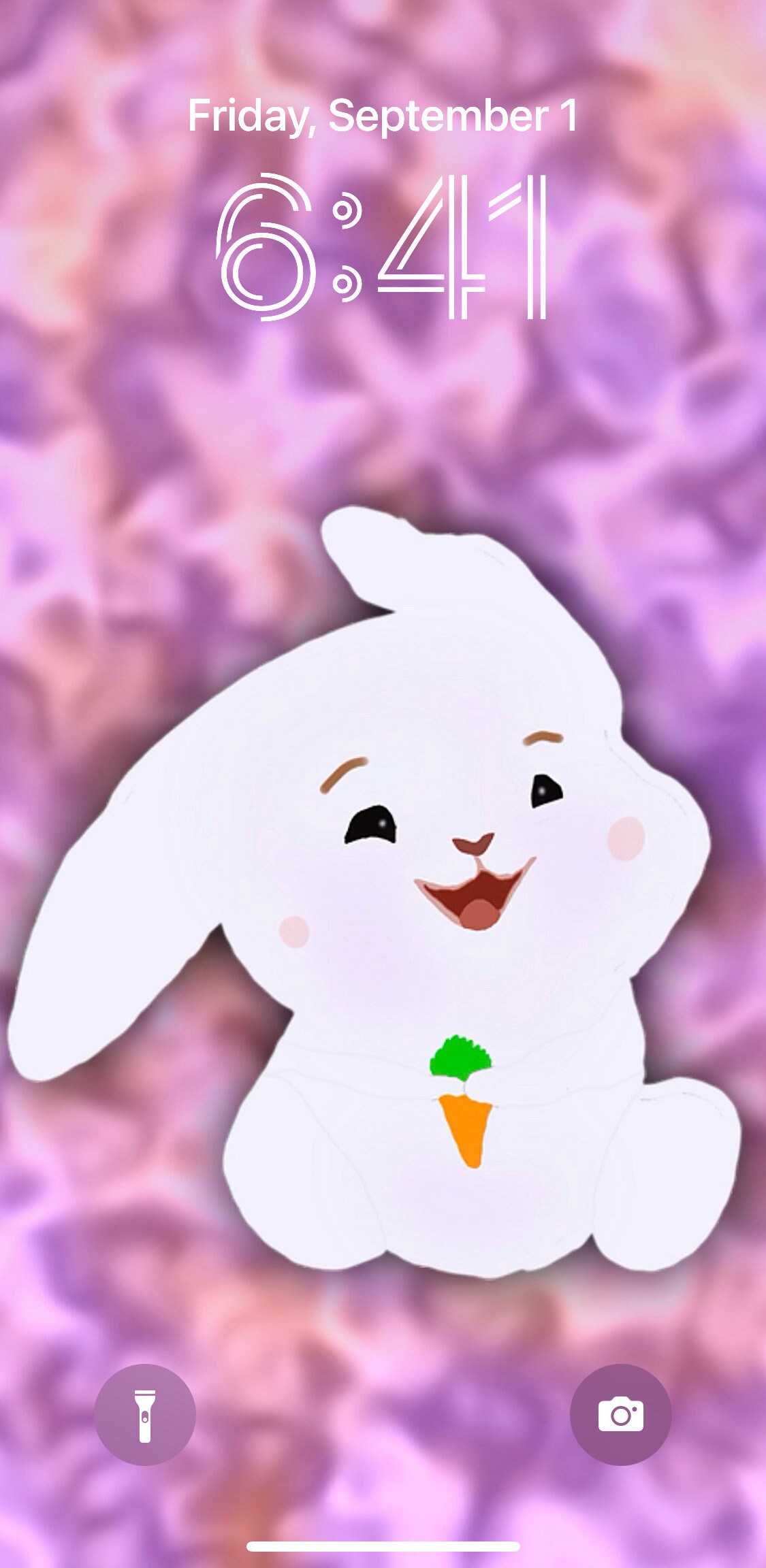 Customizable Cute Animal and Size and Color Lock Screens - Etsy