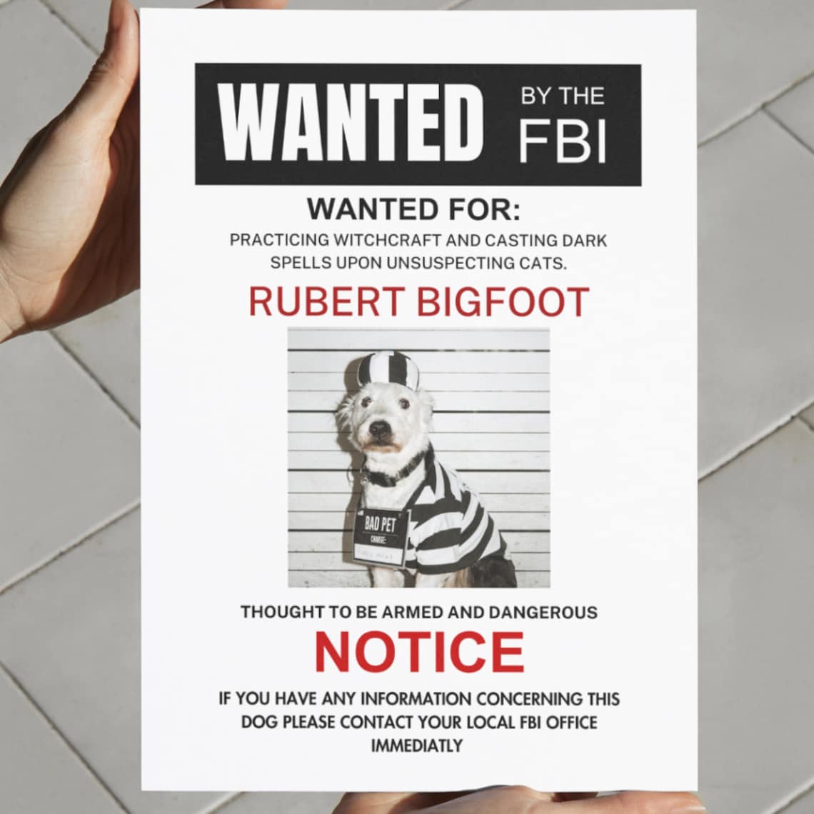 Spooky Wanted Posters: Halloween Canva Templates Spooky - Etsy