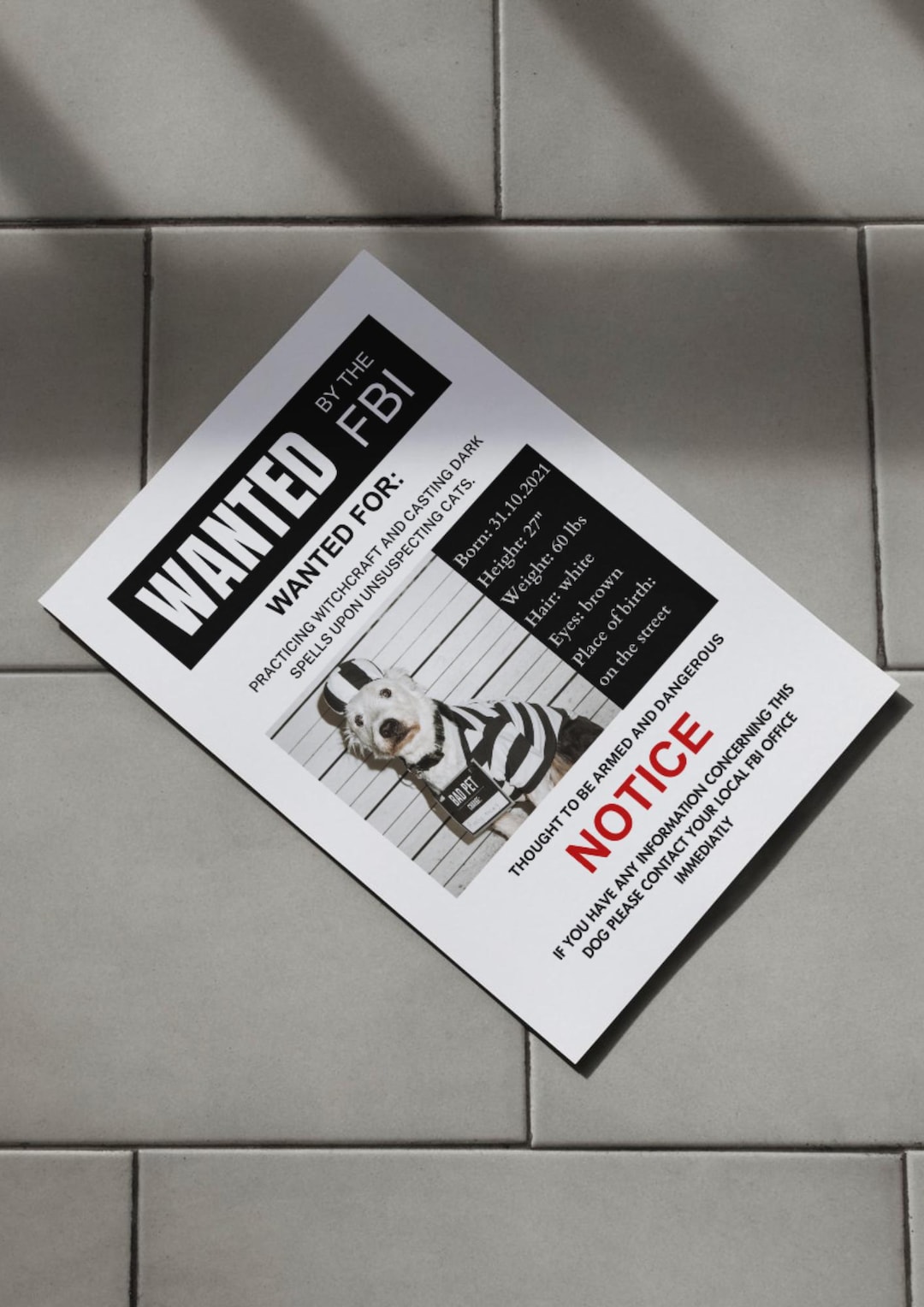 Personalized 'wanted by the FBI' Poster Canva Template – Funny ...