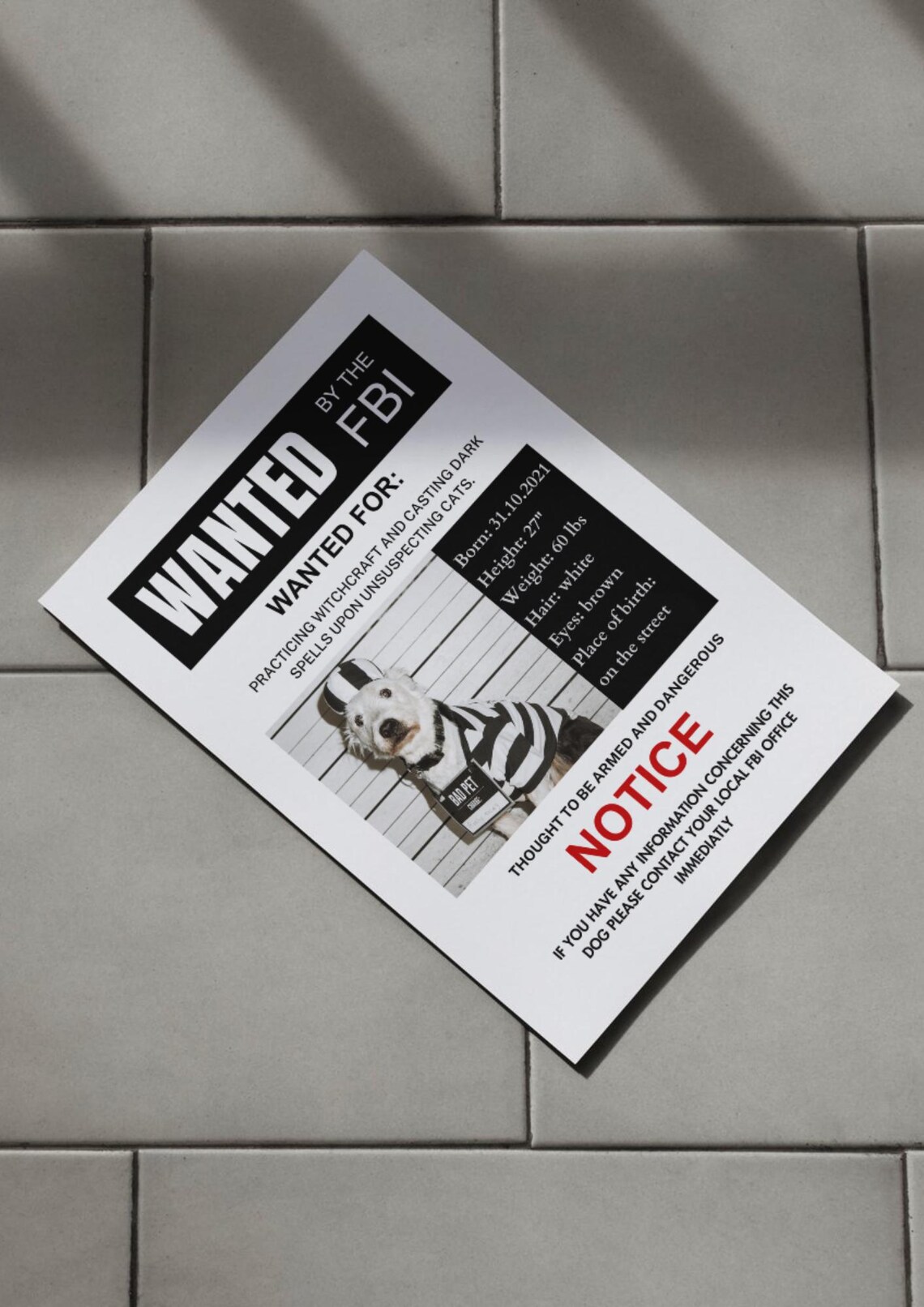 Personalized 'wanted by the FBI' Poster Canva Template – Funny ...