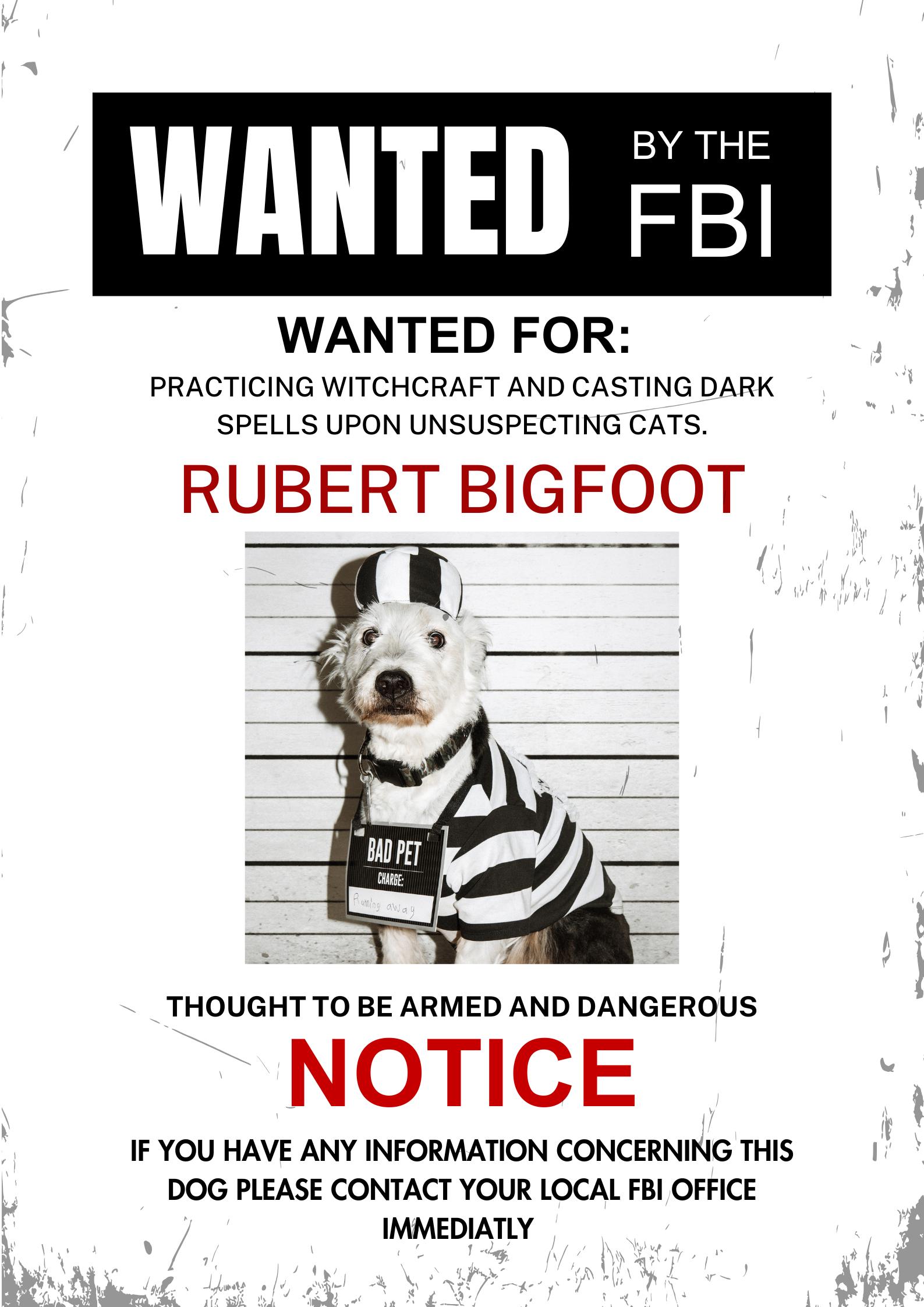 Personalized 'wanted by the FBI' Poster Canva Template – Funny ...