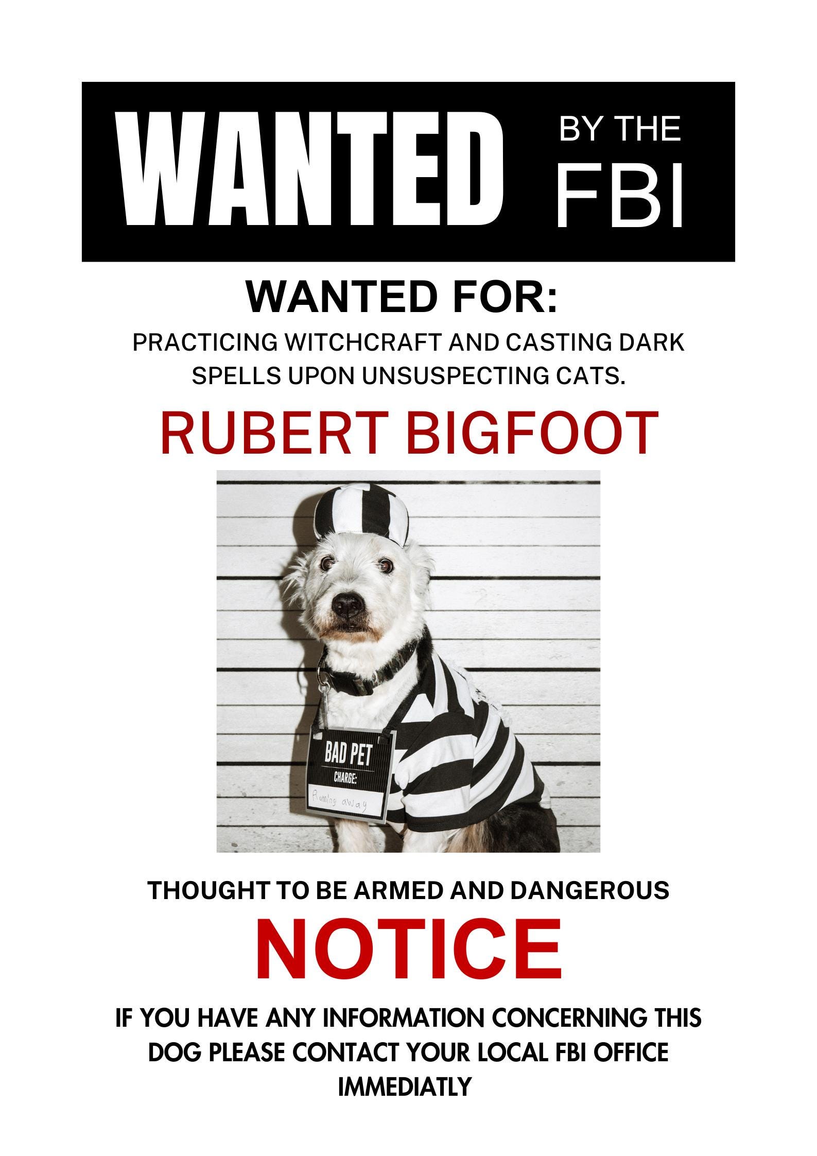 Personalized 'wanted by the FBI' Poster Canva Template – Funny ...