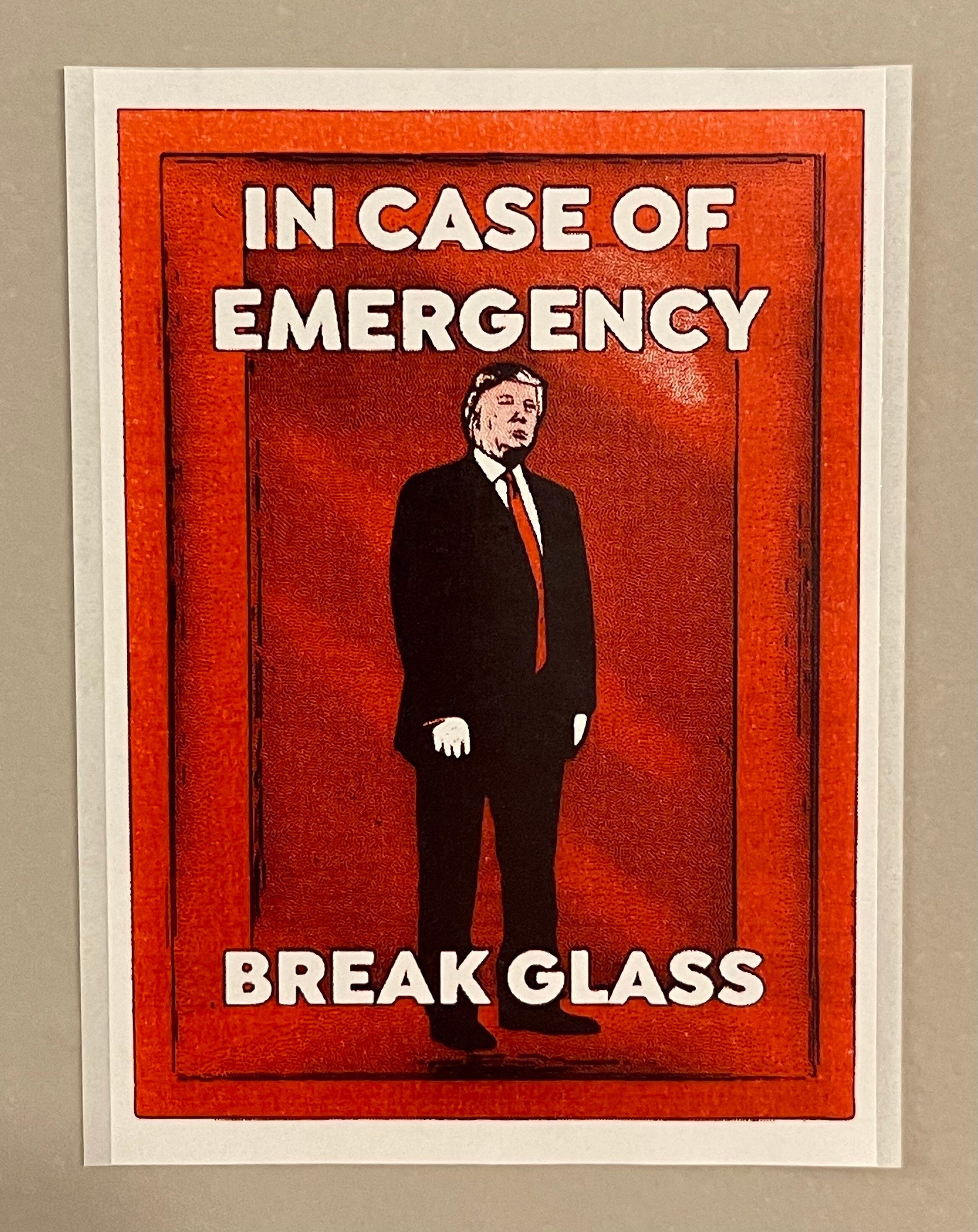 Trump in Case of Emergency Break Glass Sticker qty 1 - Etsy