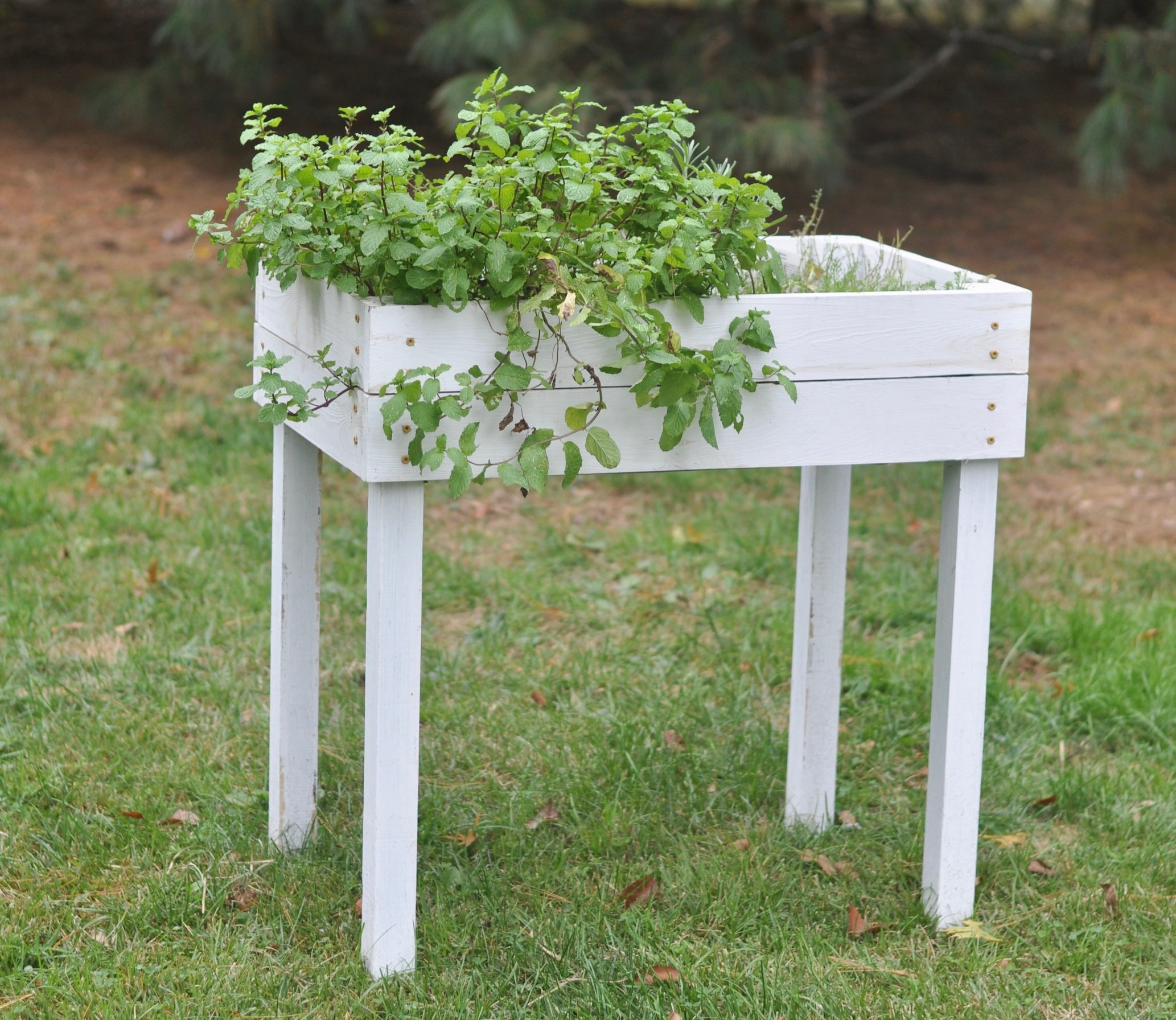 Raised Planter Box, Raised Herb Garden, Planter Box, Garden Box ...