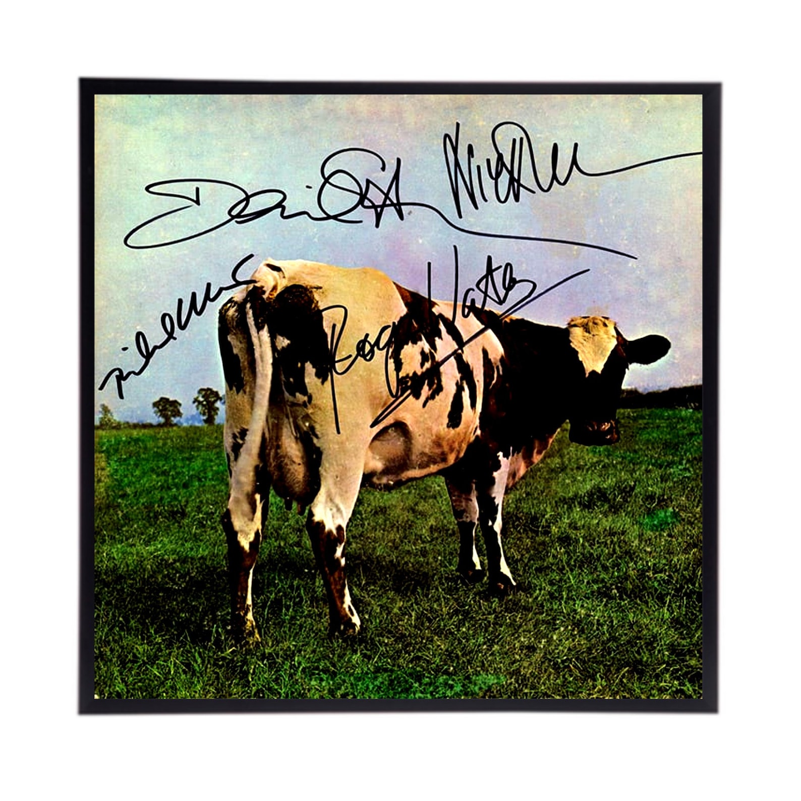 Pink Floyd Autographed Album Cover Reprints / Choose From 6 - Etsy
