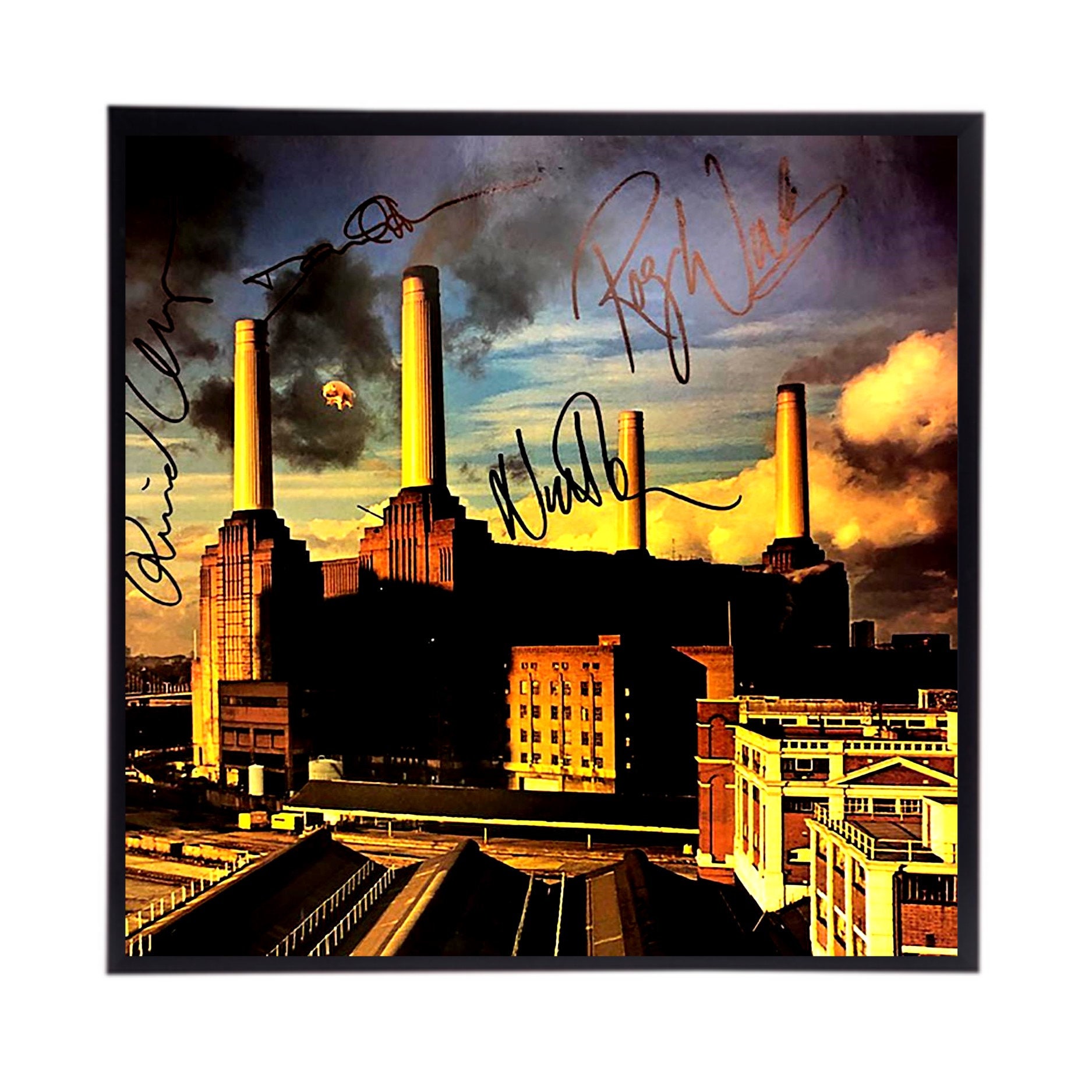 Pink Floyd Autographed Album Cover Reprints / Choose From 6 Different ...