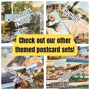 Vintage National Park Postcard Sets, Unposted or Posted Packs - Etsy