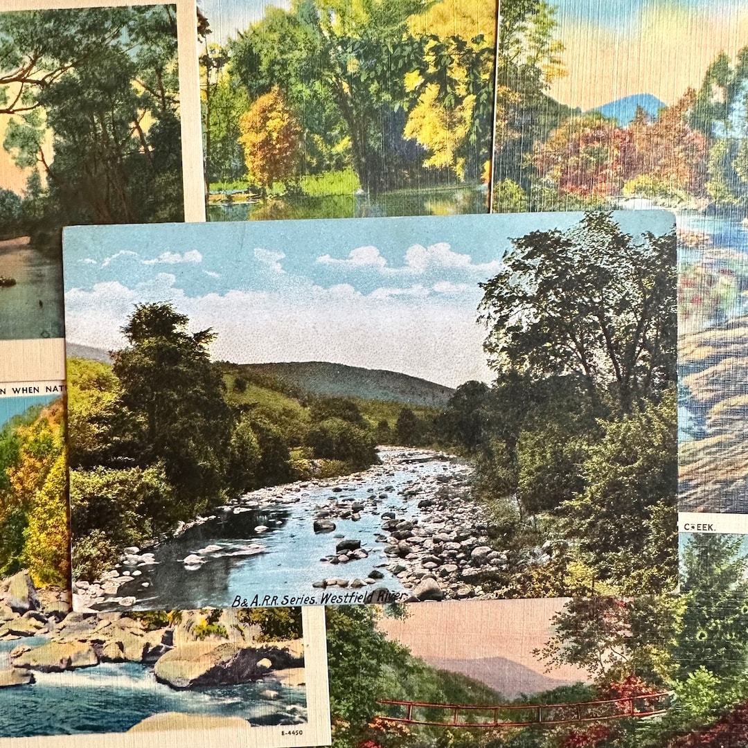 Set of Vintage Landscape Postcards, Nature Postcards, Vintage Postcard ...